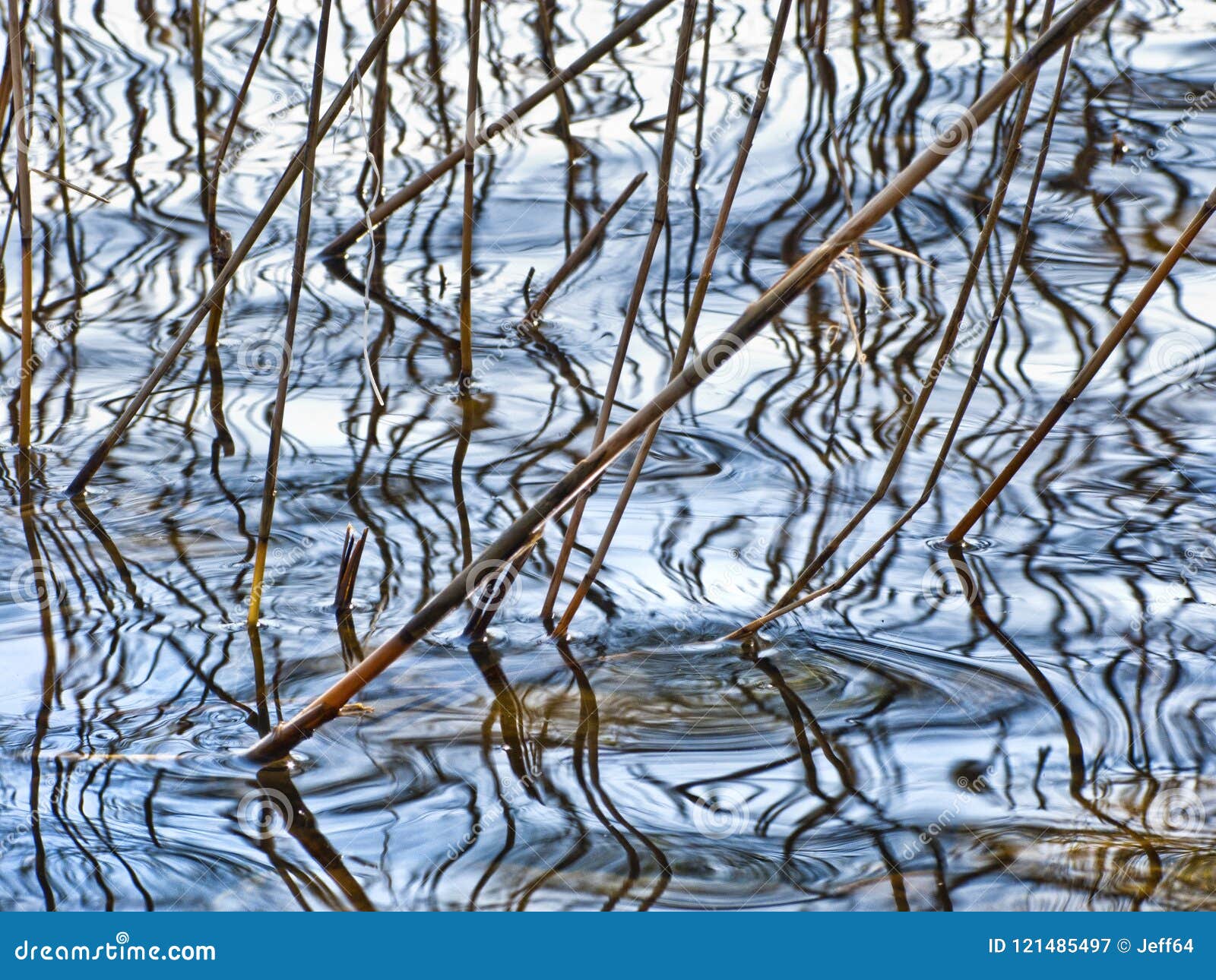 Reflection on a Water Surface Stock Image - Image of beautiful, sunrise ...