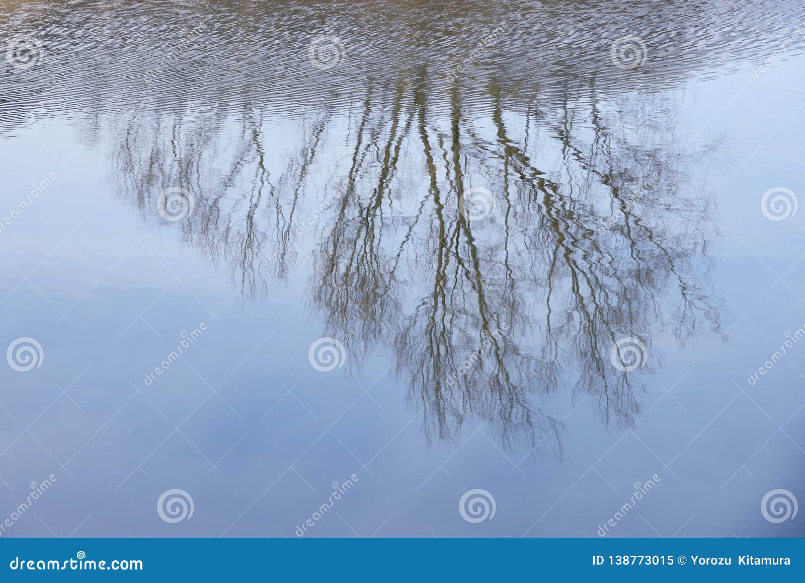 Reflection of the Water Surface Stock Image - Image of colorful, scene ...