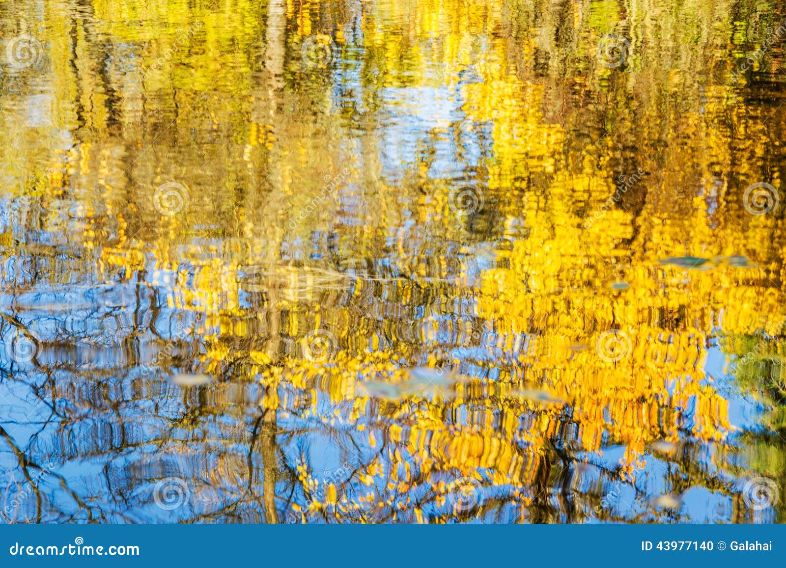 Reflection in Water Yellow Foliage and Blue Sky Stock Photo - Image of ...