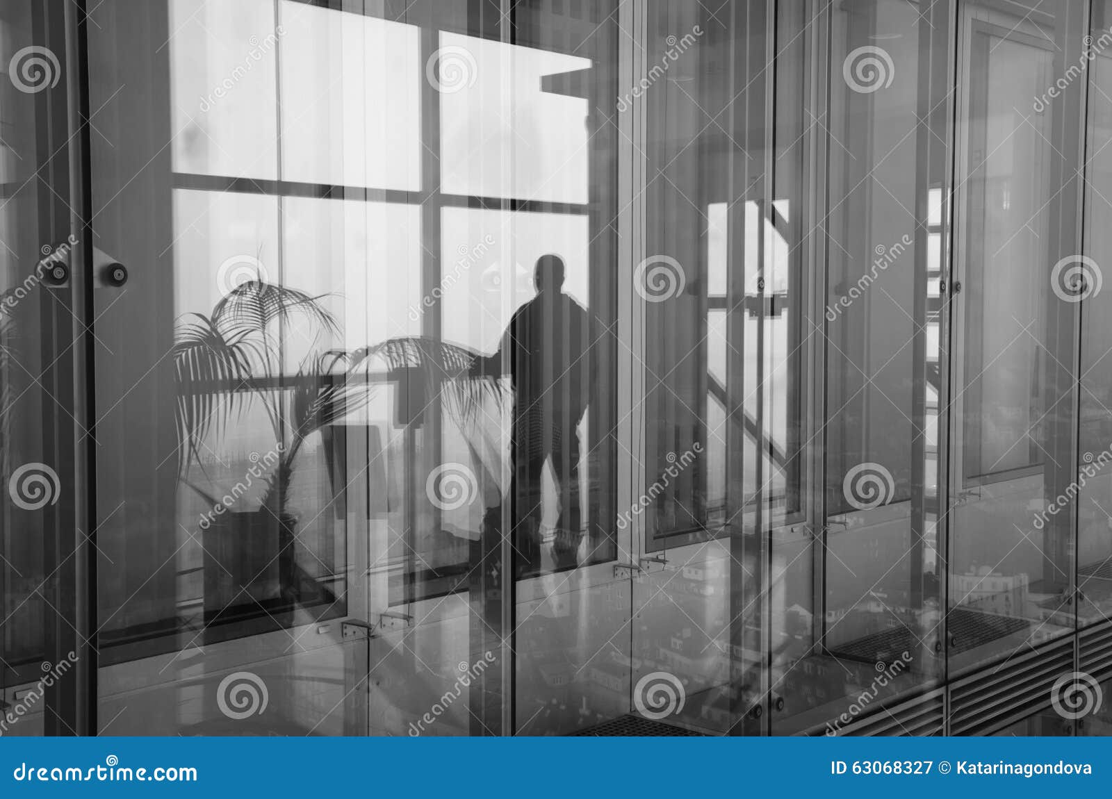 Reflection in window stock image. Image of human, mirror - 63068327