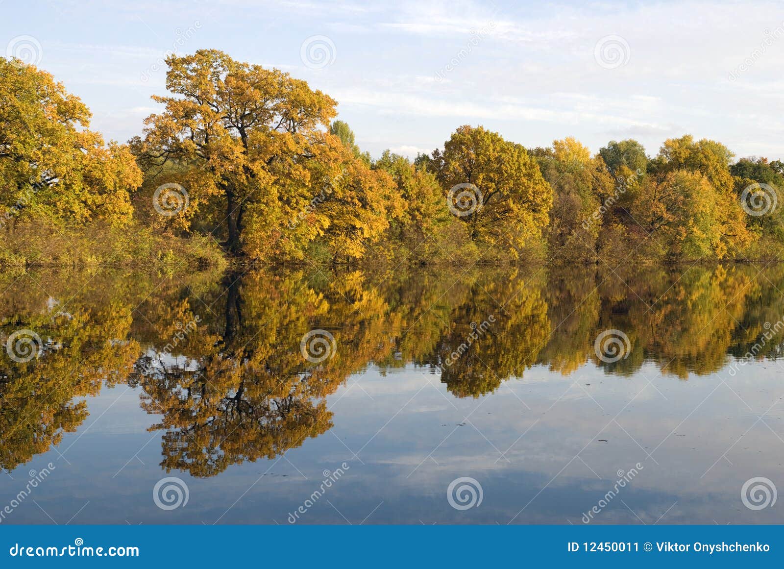 Reflection of Yellow Trees in Water Stock Image - Image of river ...