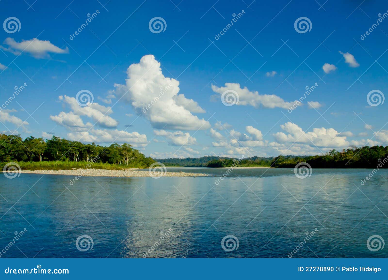 Reflections of Amazon River, Ecuador Stock Photo - Image of habitat ...
