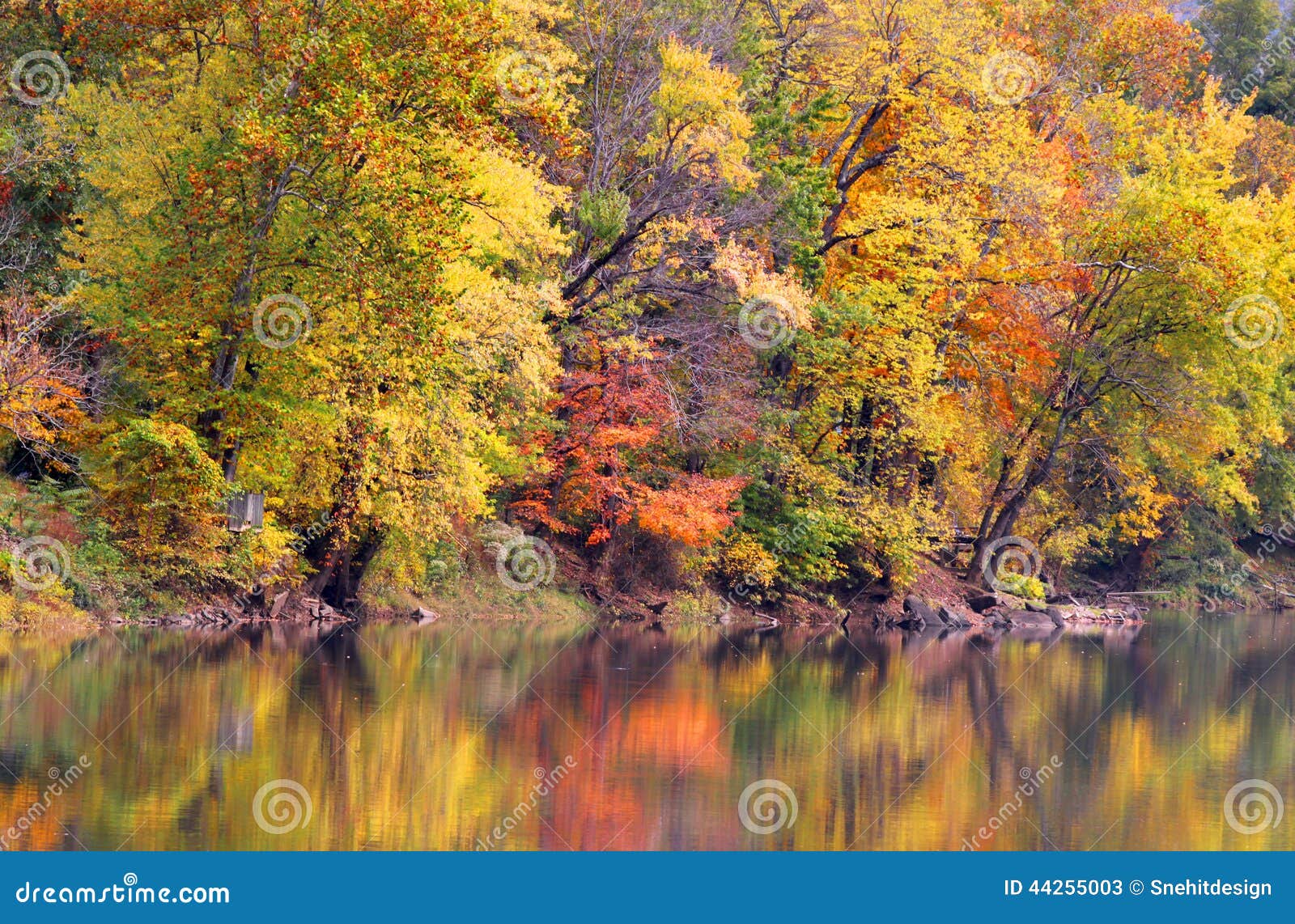 Reflections of Autumn Trees Stock Image - Image of pond, lake: 44255003