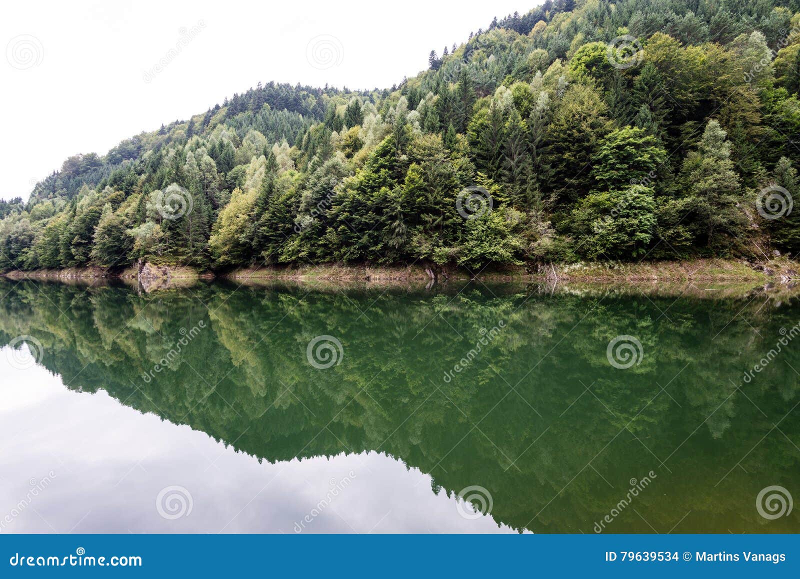 Reflections in the Calm Lake Water Stock Photo - Image of nature ...