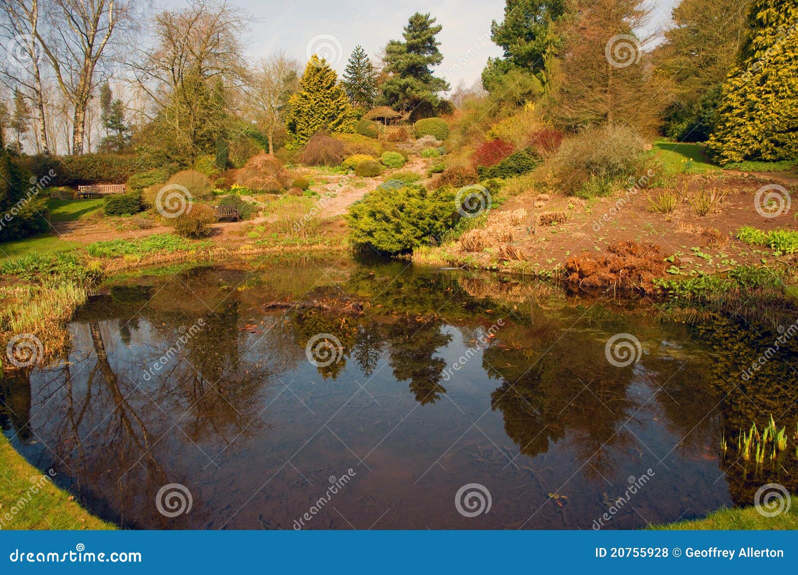 Reflections of a English Garden Stock Photo - Image of pond ...