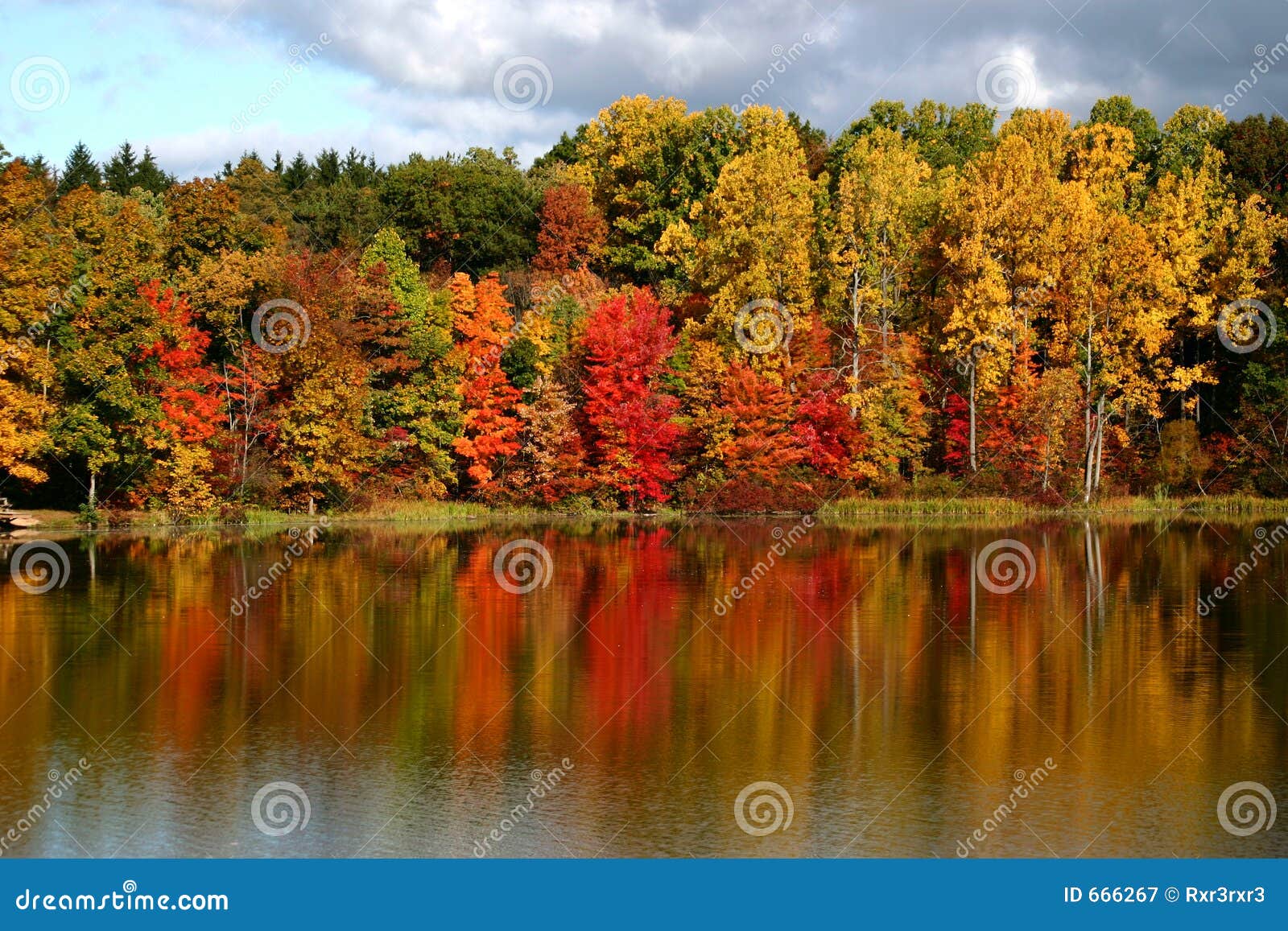 Reflections of Fall stock image. Image of maple, autumn - 666267