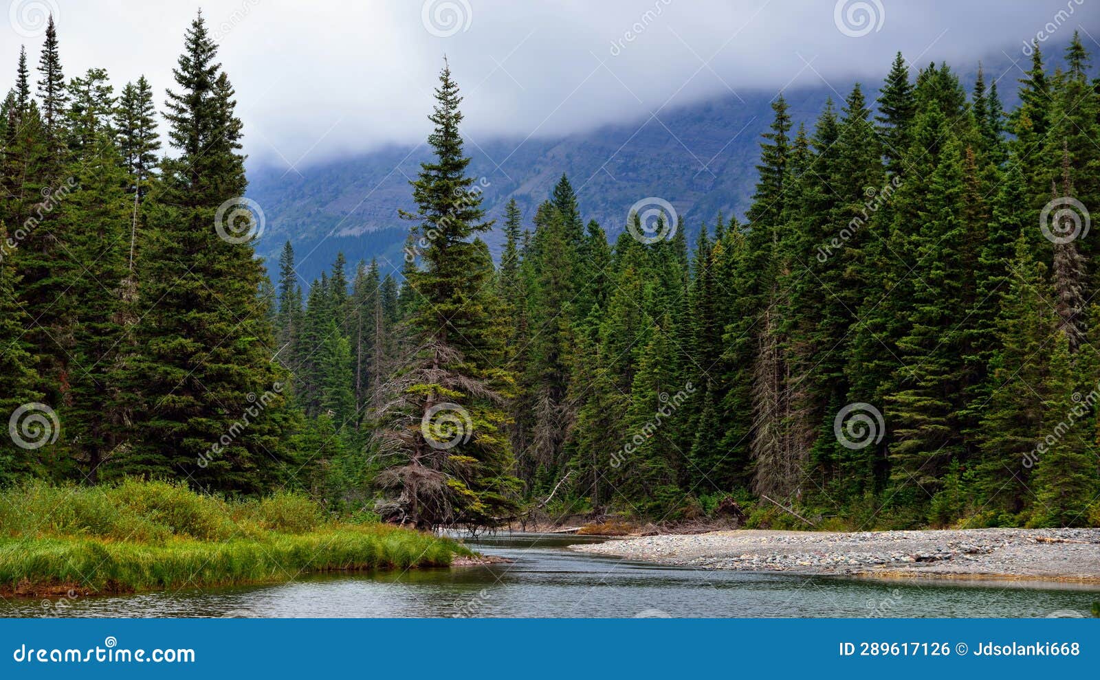 Reflections Forest Mountain and Rivar Stock Photo - Image of landscape ...