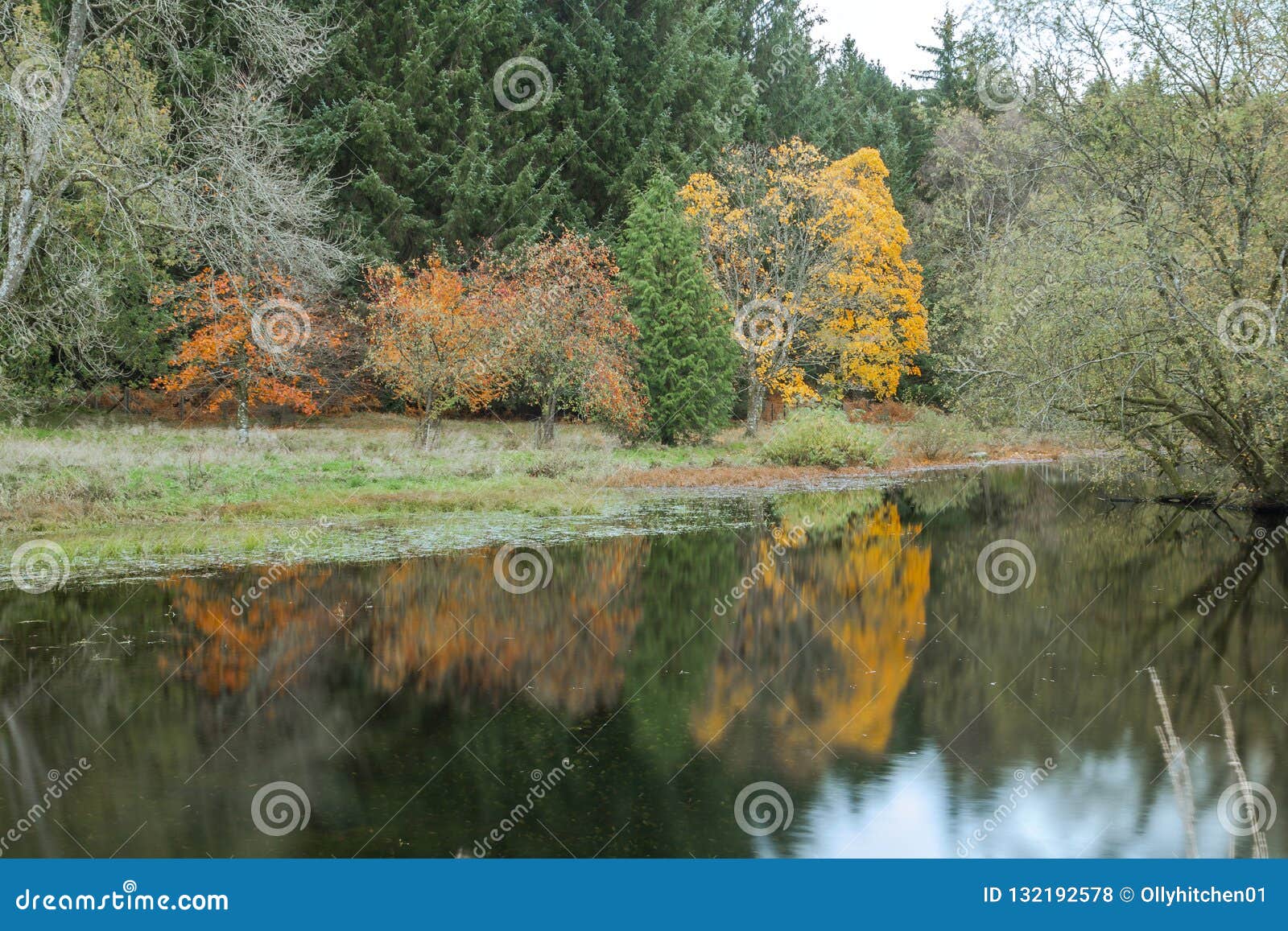Reflections of a Group of Brightly Coloured Trees Over a Small L Stock ...
