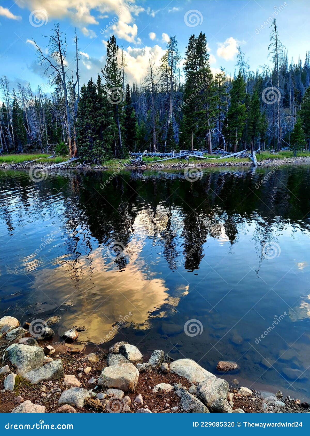 Reflections in the Lake Camping Stock Photo - Image of reflections ...