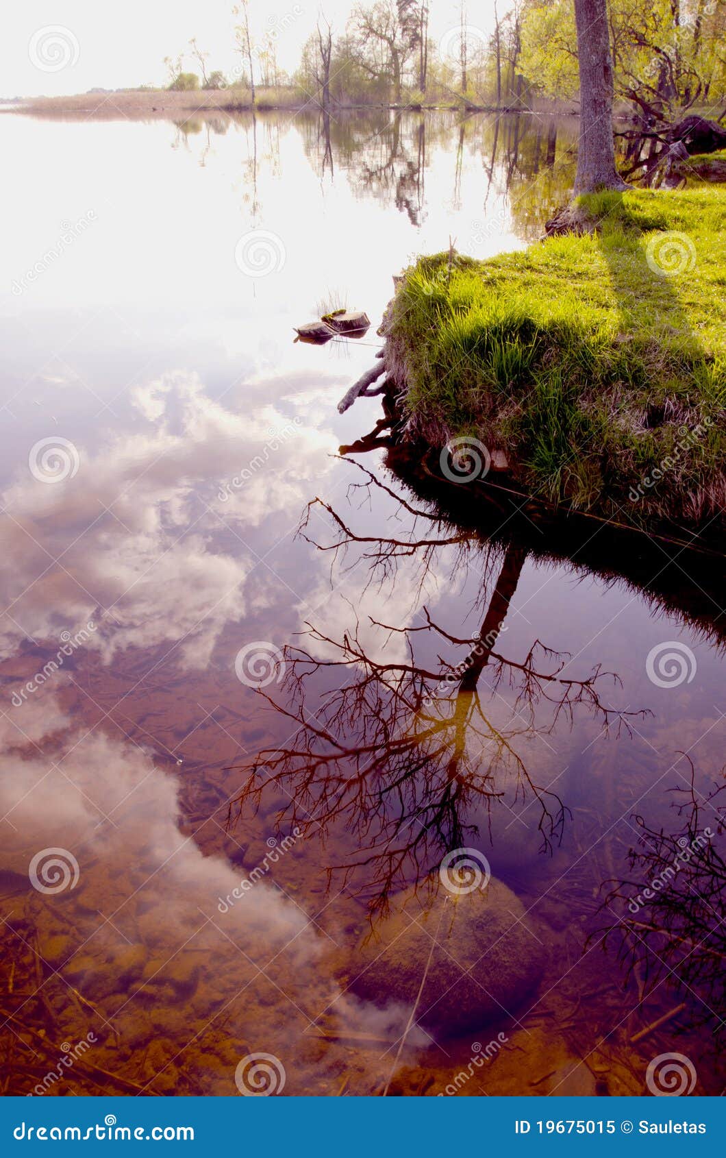 Reflections on the Lake in Spring. Stock Image - Image of evening ...