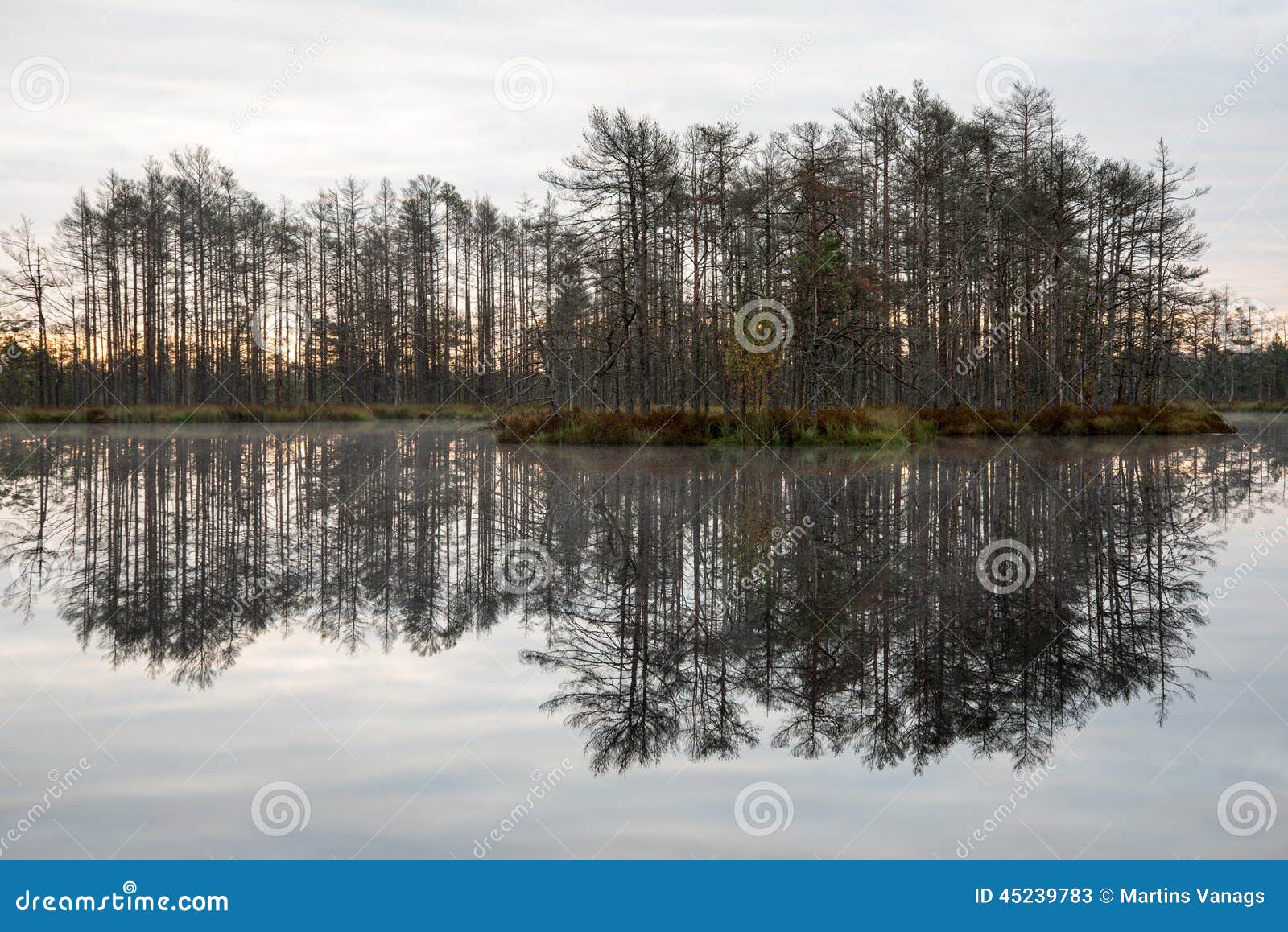 Reflections in the Lake Water Stock Image - Image of cote, nature: 45239783