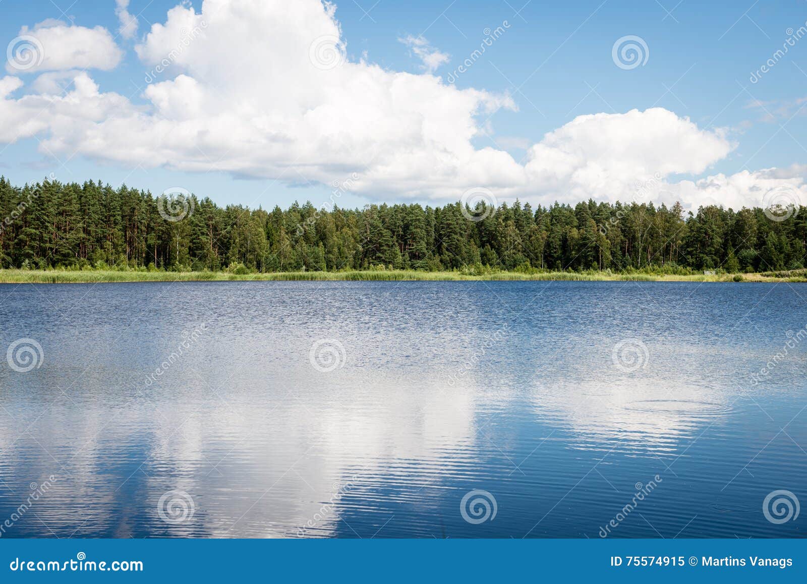 Reflections in the Lake Water at Sunrise Stock Image - Image of ...
