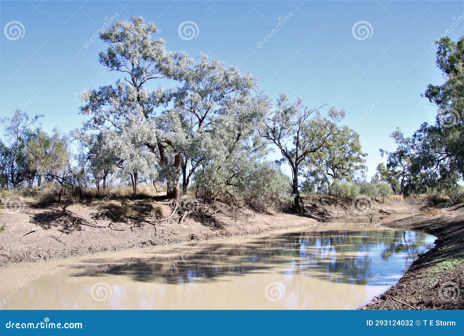 Reflections in the Narran River, the Outback Stock Photo - Image of ...