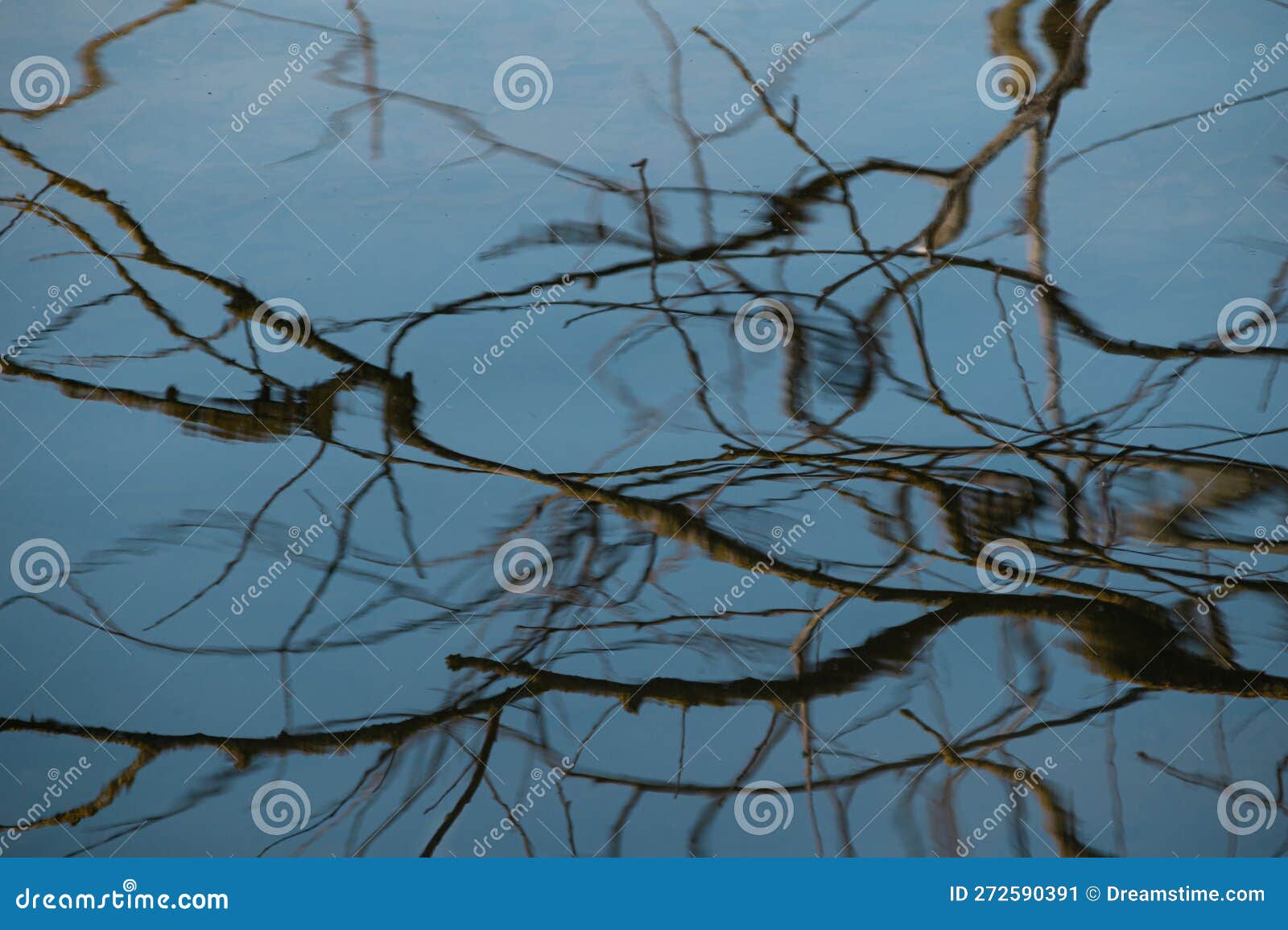 Reflections of nature stock image. Image of fence, line - 272590391