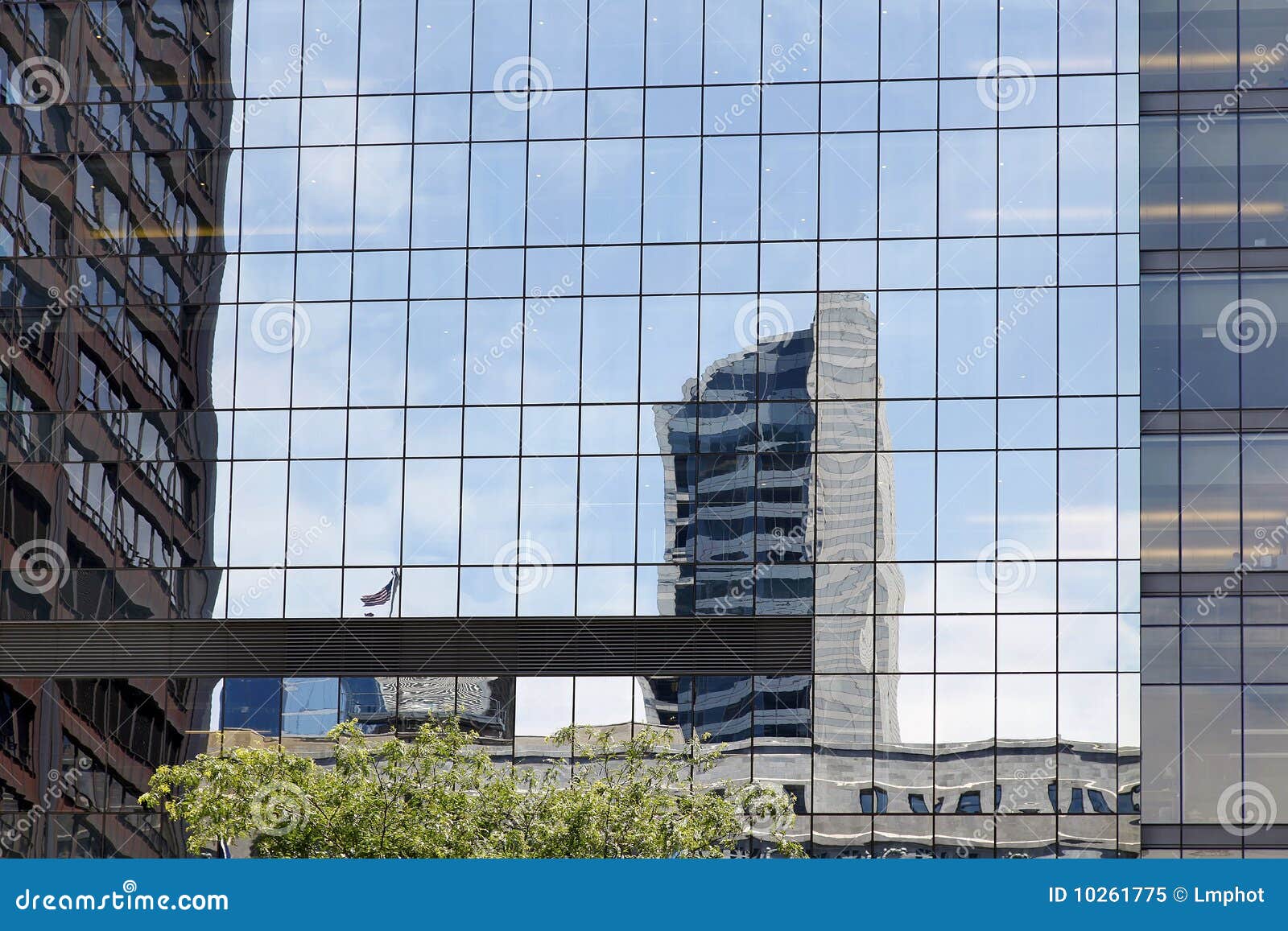 Reflections in Office Building Windows Stock Image - Image of corporate ...