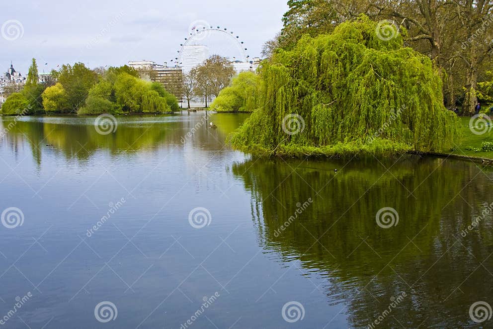 Reflections over water editorial photography. Image of calm - 5667167