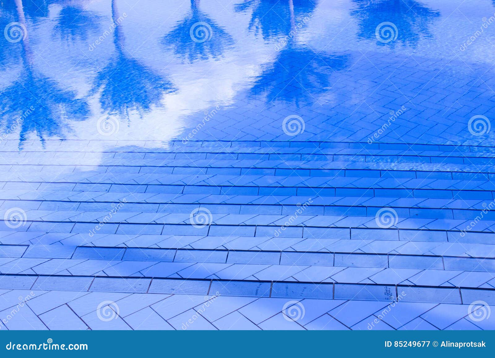 Reflections of Palm Trees in the Water of a Swimming Pool Stock Image ...