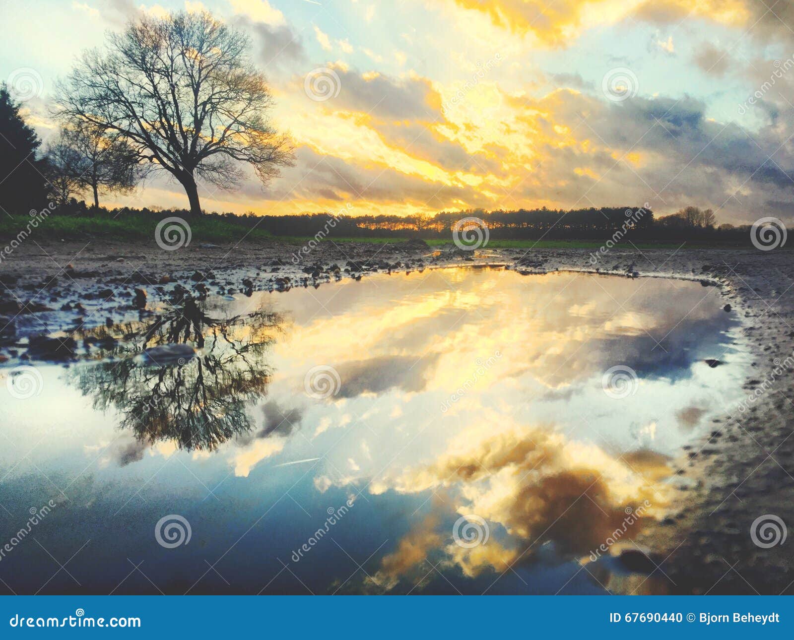 Reflections in a Puddle of a Beautiful Dramatic Sunset Over a Field ...