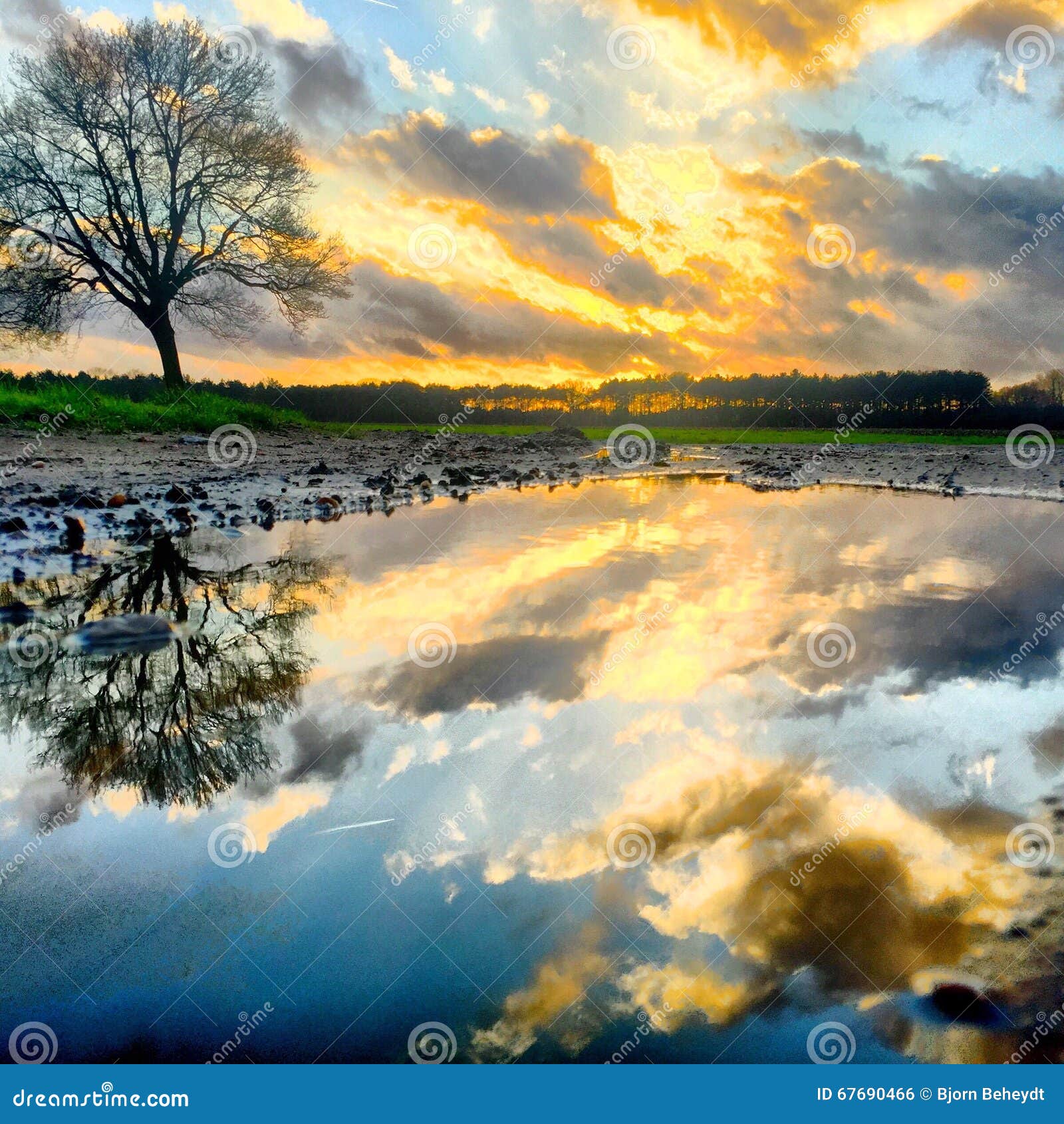 Reflections in a Puddle of a Beautiful Dramatic Sunset Over a Field ...