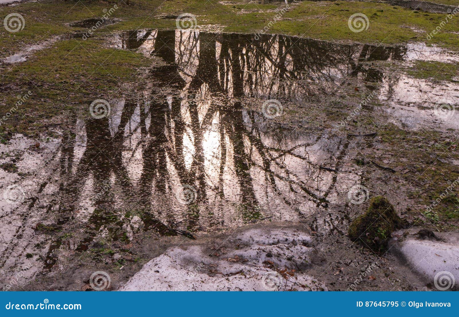 Reflections in puddle stock image. Image of puddle, cloud - 87645795