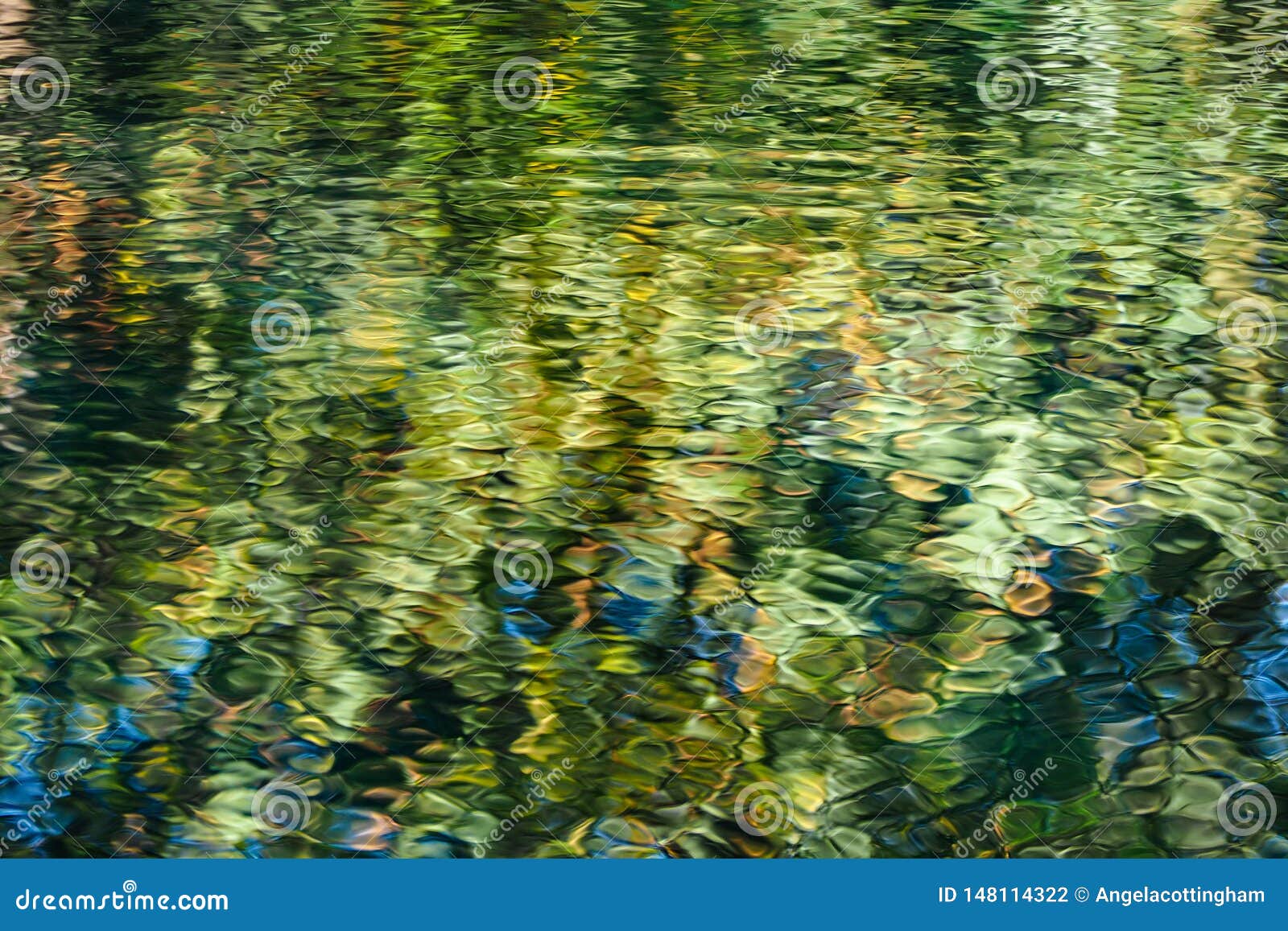 Reflections in the Ripples of a Pond Stock Photo - Image of surface ...