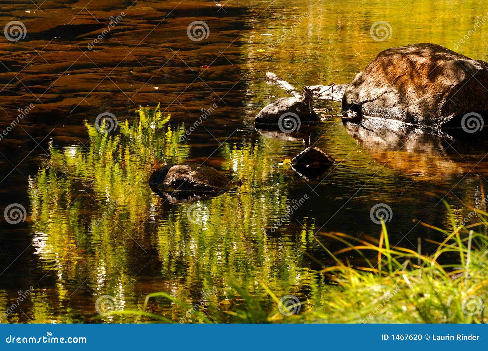 Reflections In The River Picture. Image: 1467620