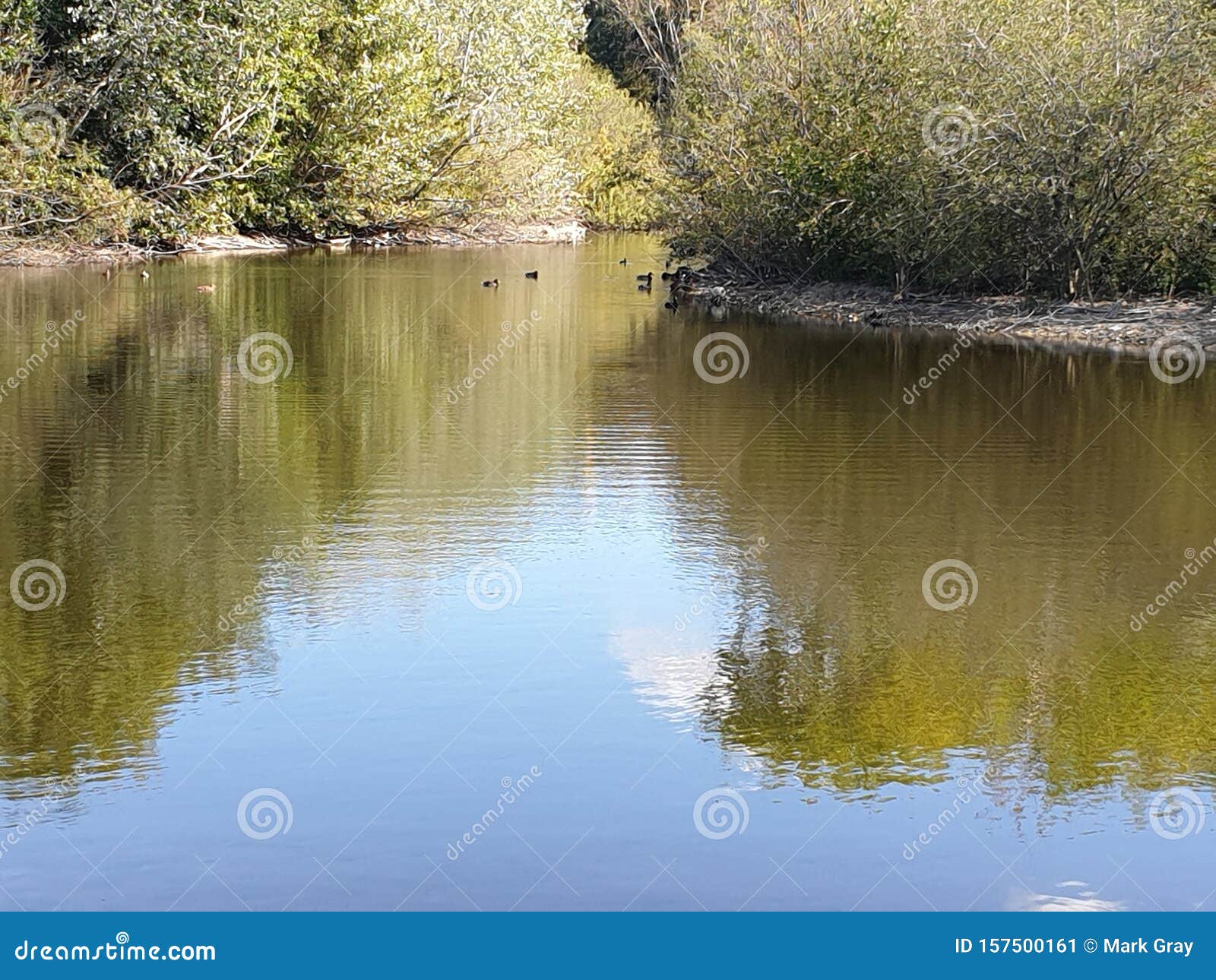 Reflections on the River stock image. Image of river - 157500161