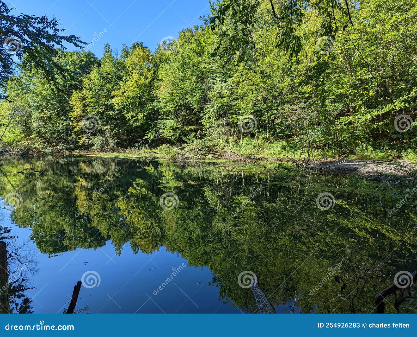 Reflections of Serenity stock image. Image of reflection - 254926283