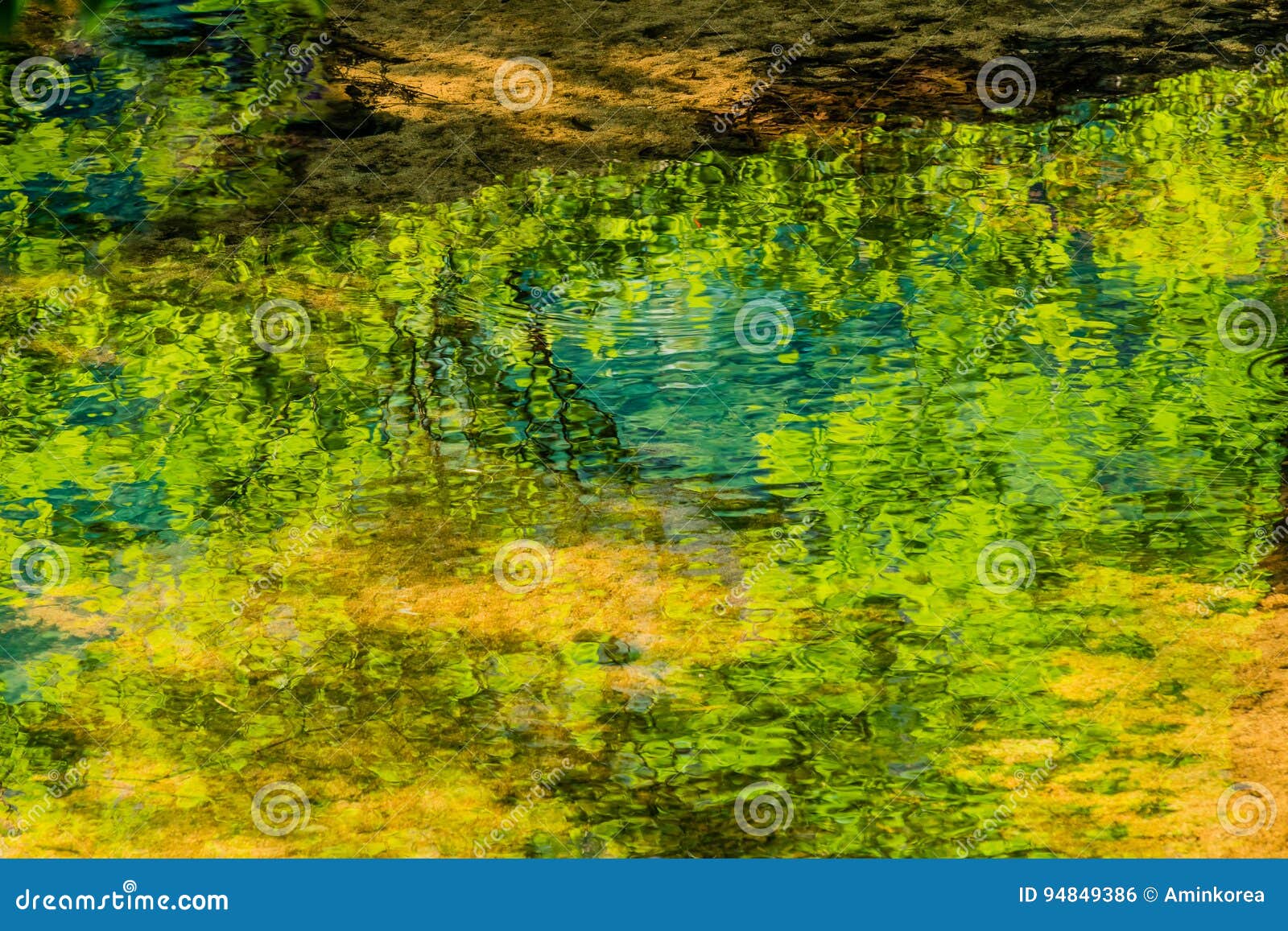 Reflections in a Shallow Stream Stock Photo - Image of beautiful ...