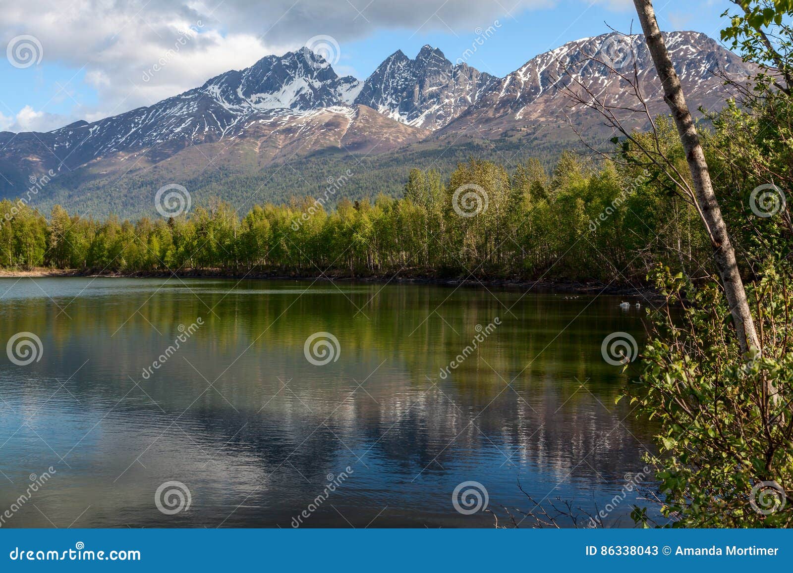 Reflections of Spring stock image. Image of mountains - 86338043