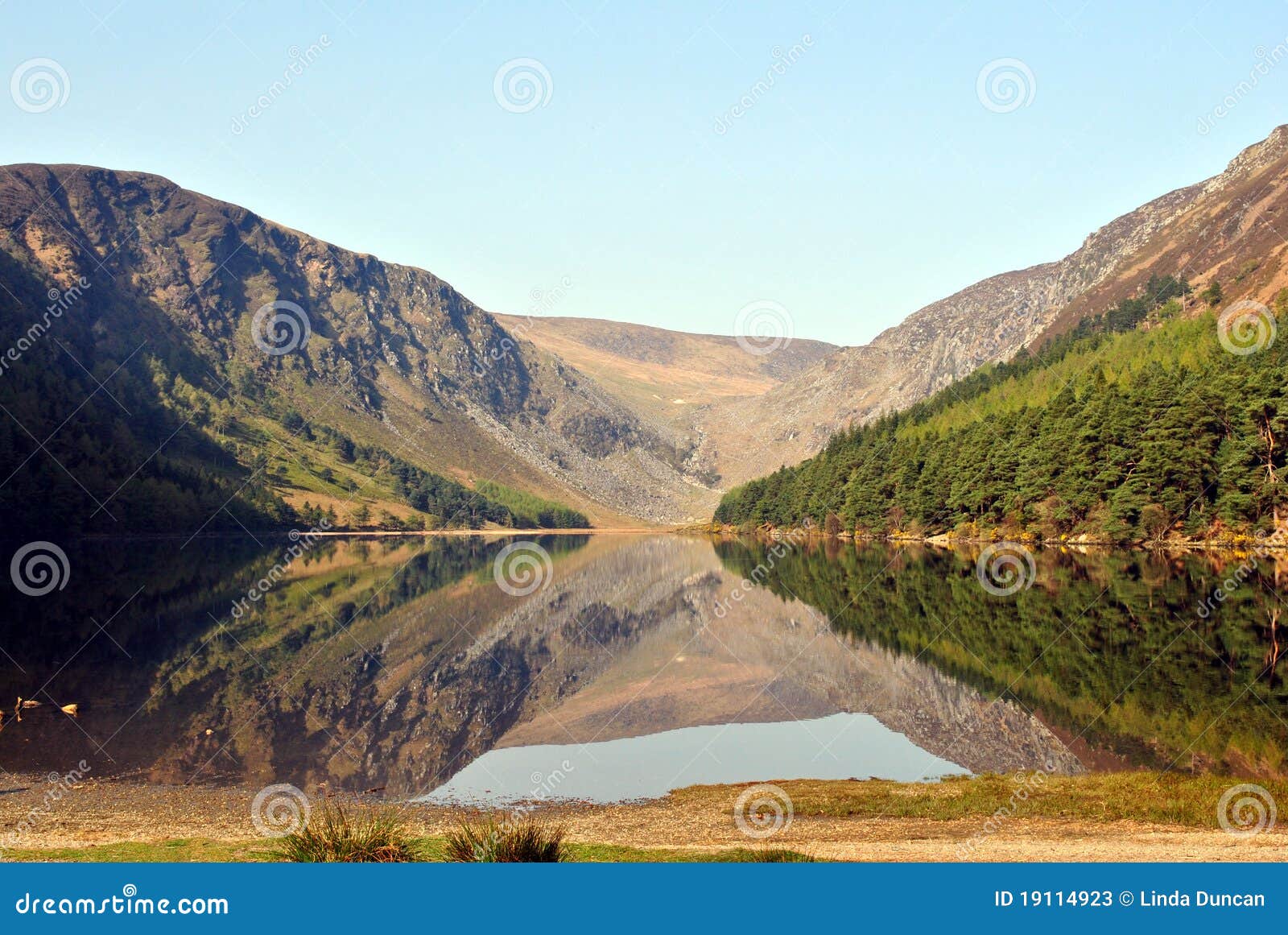 Reflections in springtime stock image. Image of sunshine - 19114923