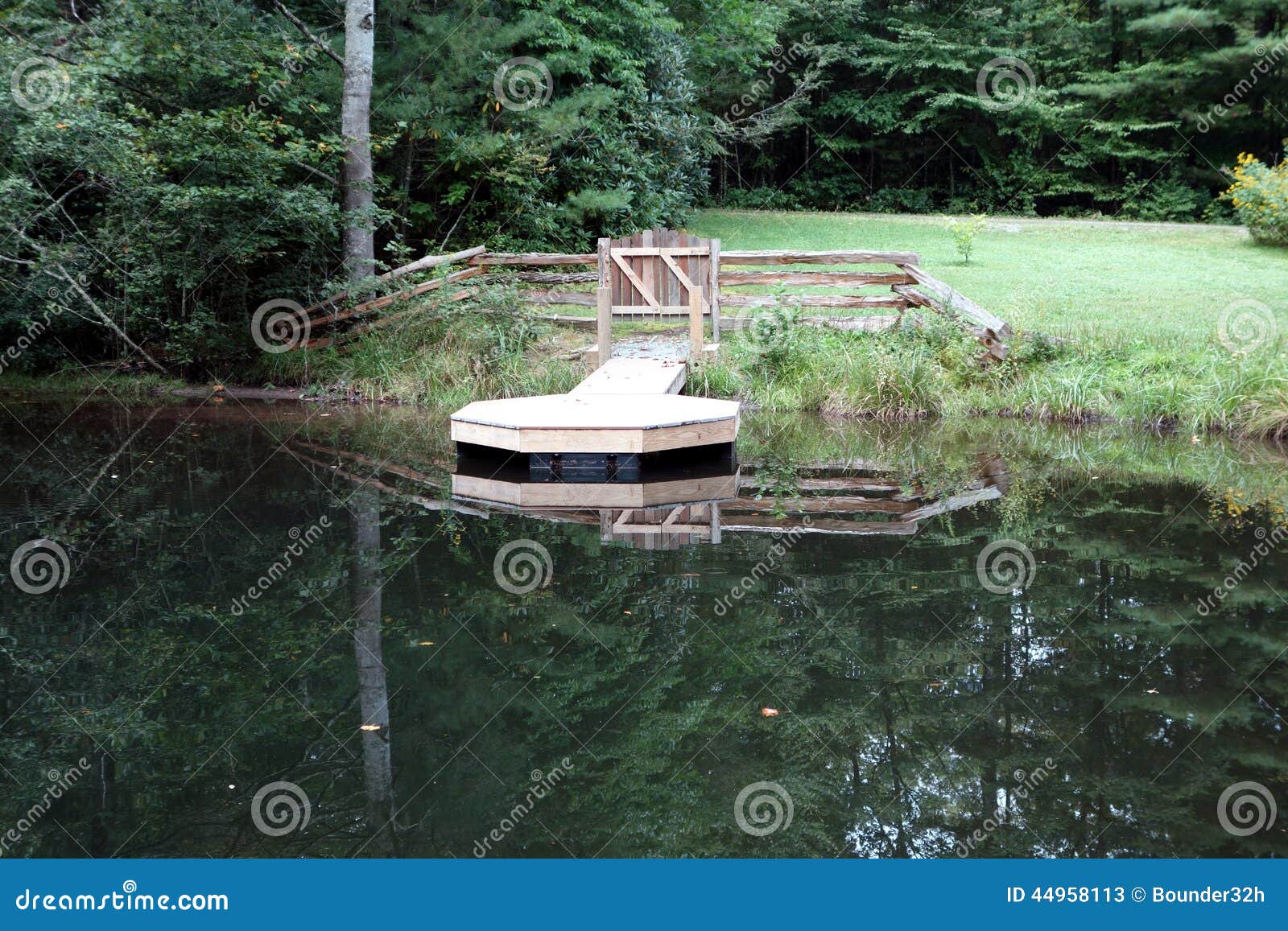 Reflections in a Still Pond Stock Image - Image of beautiful, pond ...
