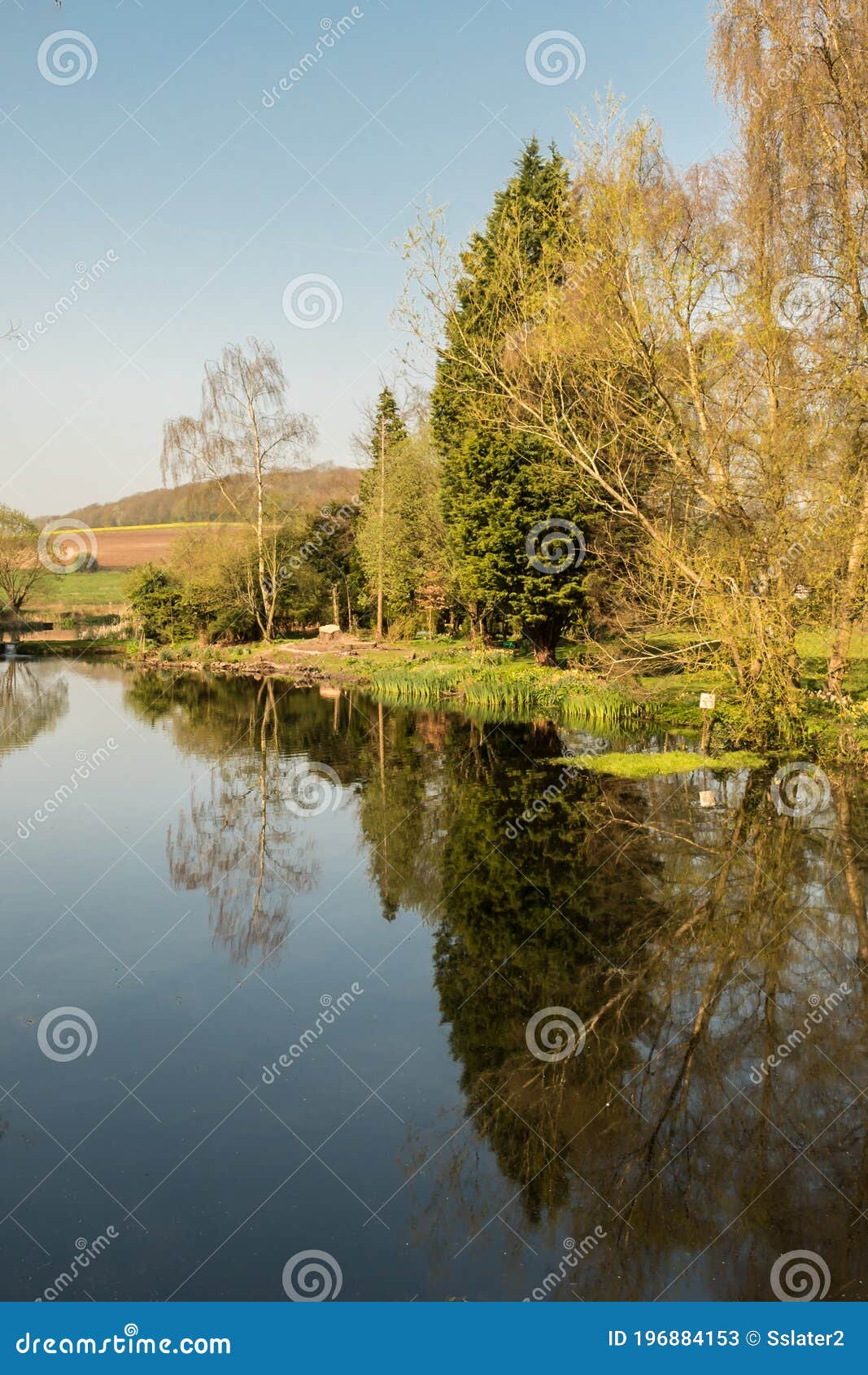 Reflections in Still water stock image. Image of beauty - 196884153