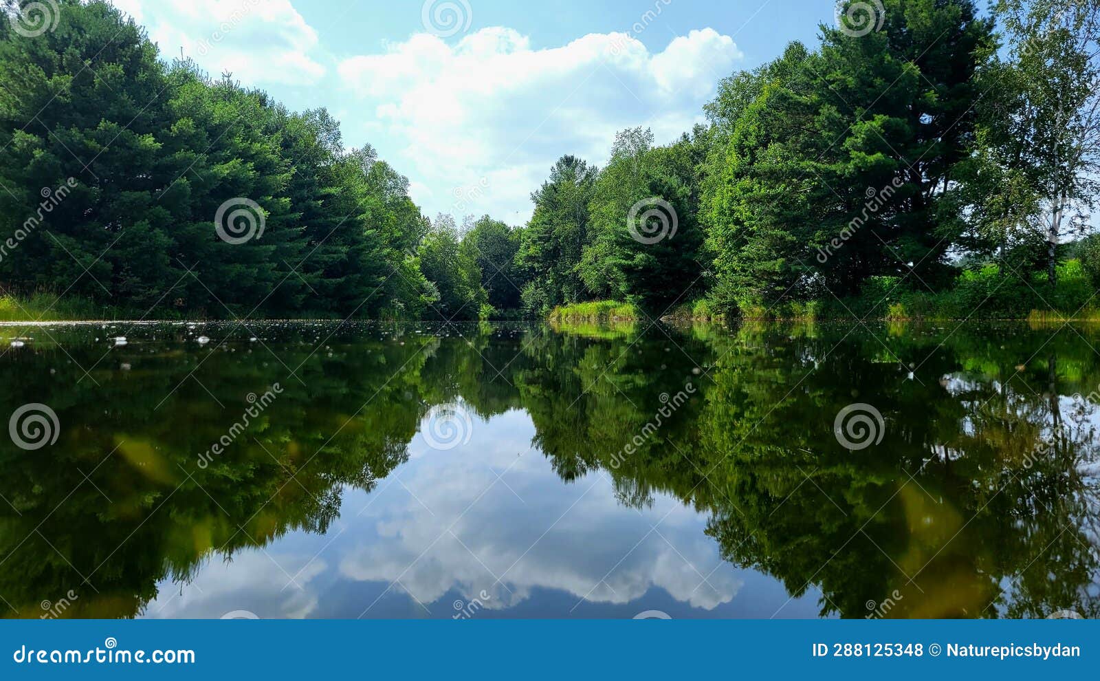 Calm Pond with Trees Reflecting Off the Still Waters Stock Photo ...