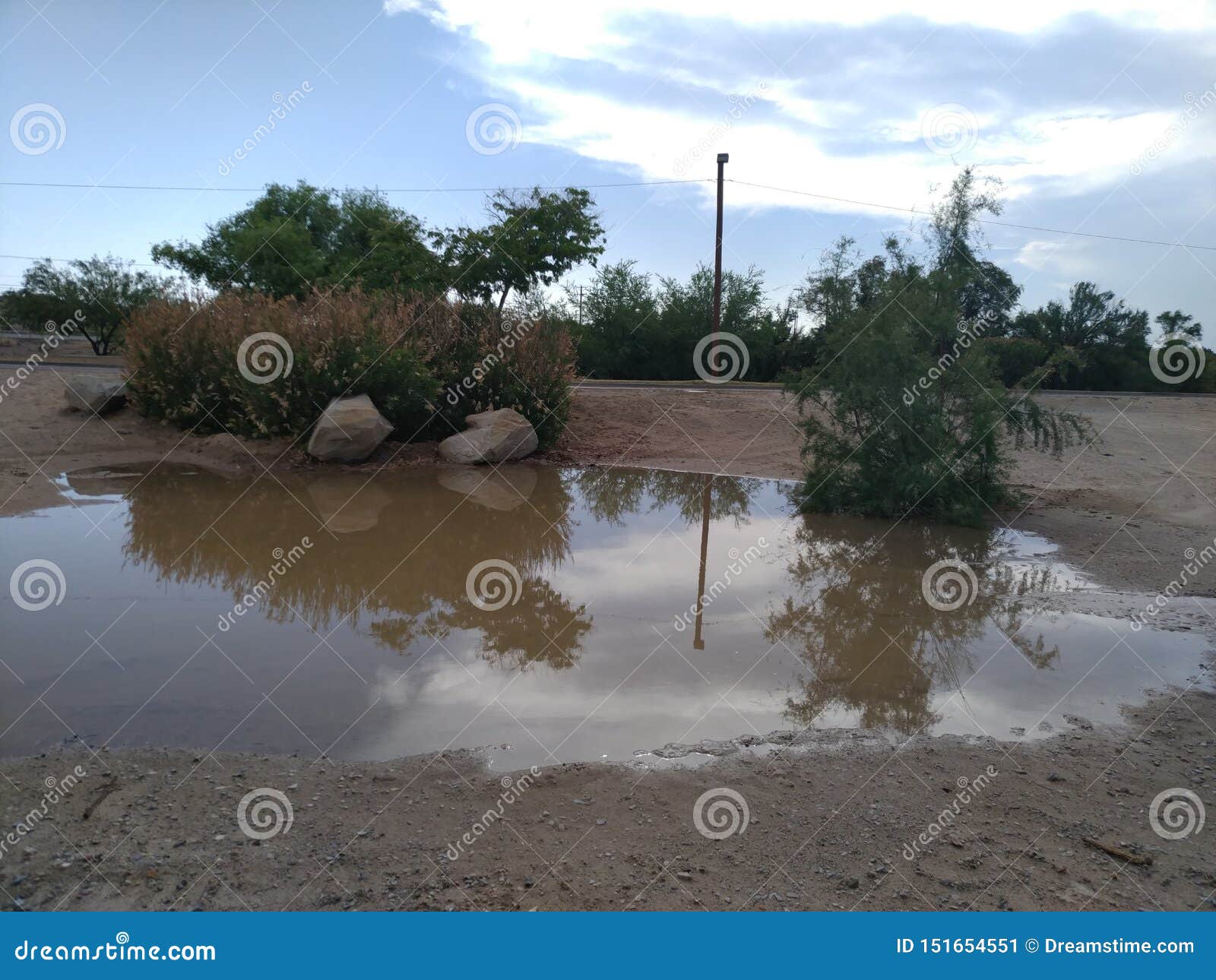 Reflections after the Storm in the Desert Stock Image - Image of storm ...