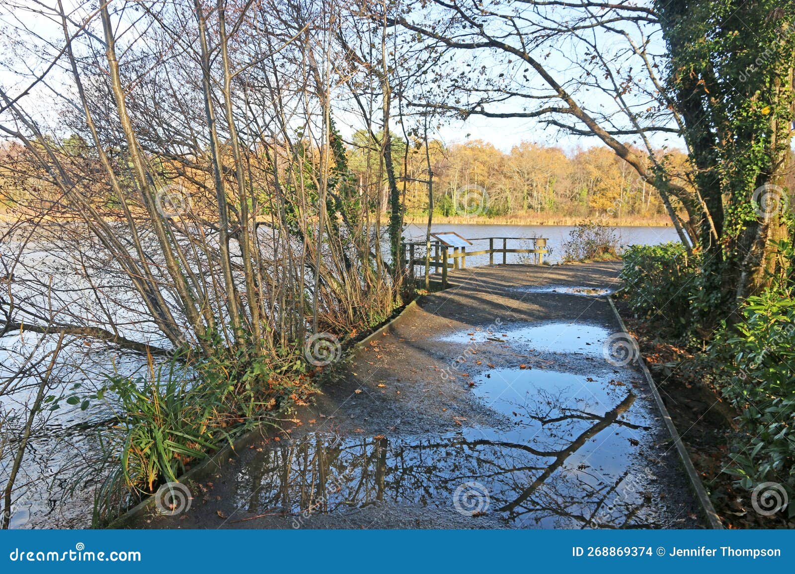 Reflections in Stover Country Park, Devon, in Autumn Stock Photo ...
