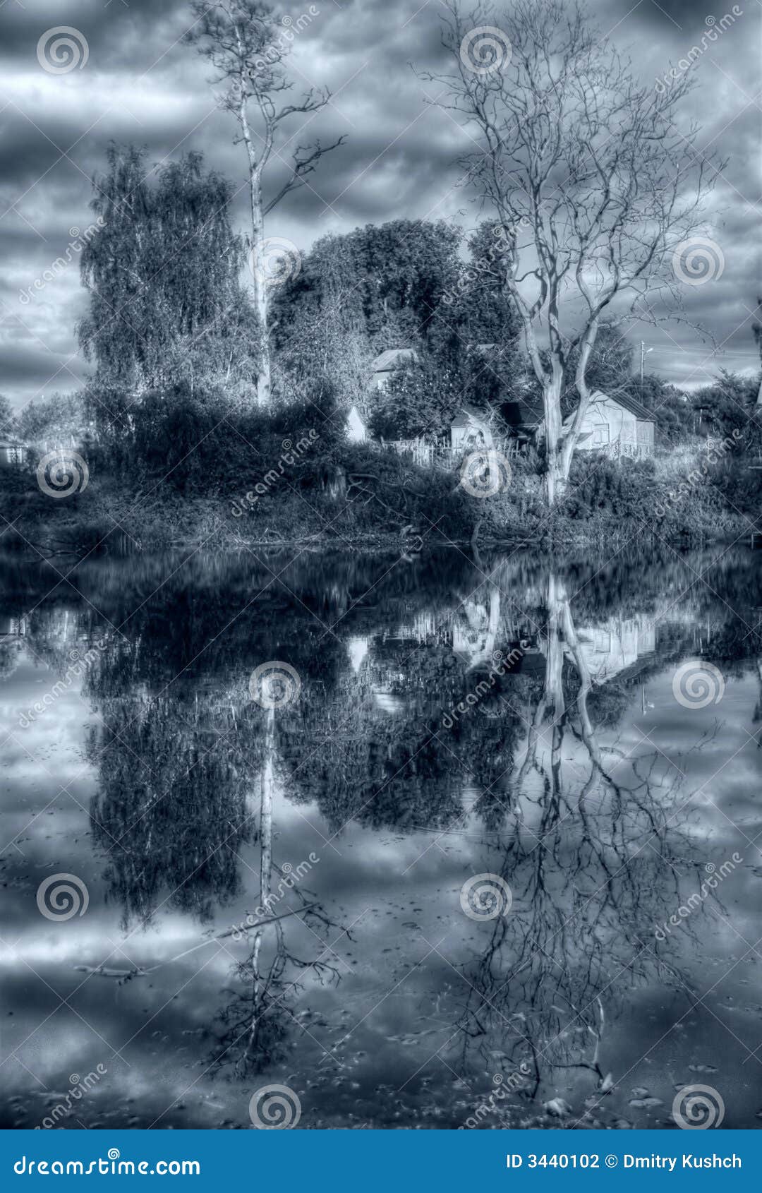 Reflections of summer stock photo. Image of bushes, rain - 3440102