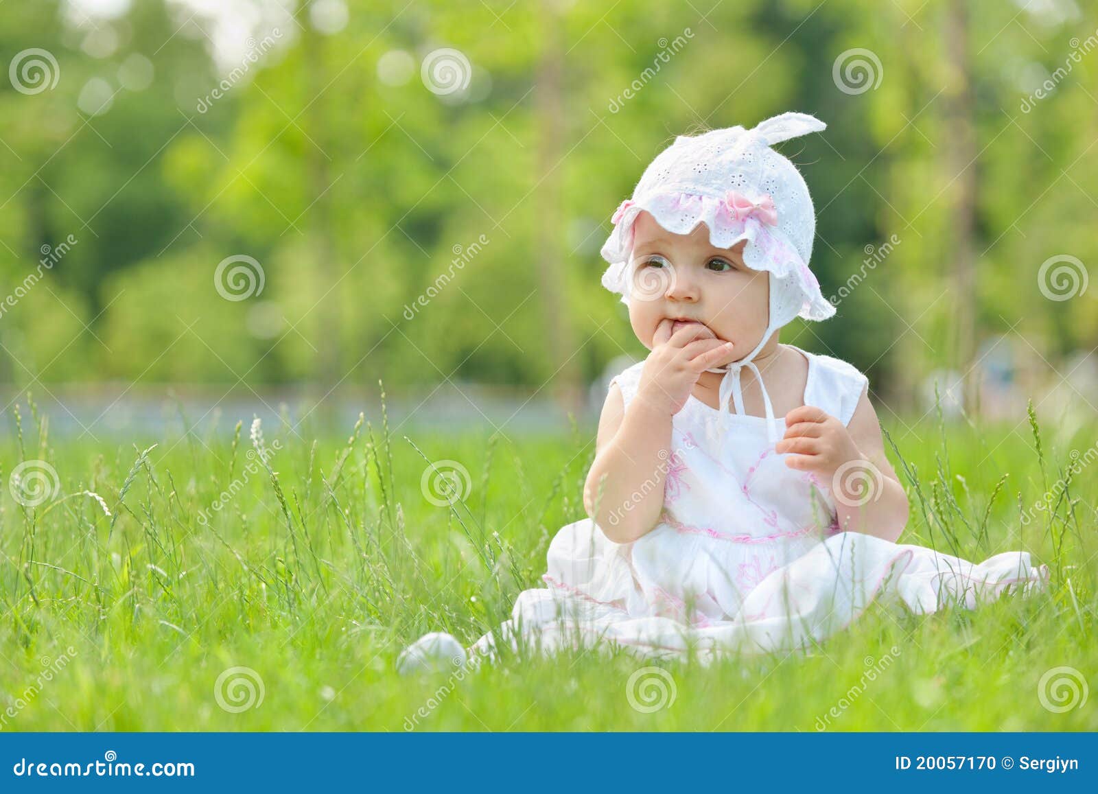 Reflections on a Summer Themes Stock Photo - Image of reflection ...