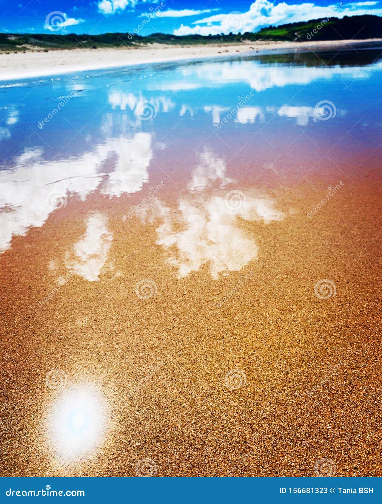 Reflections stock image. Image of beach, sunny, seaside - 156681323