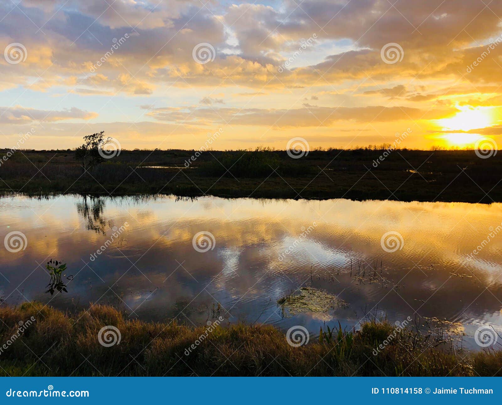 Sunset in the swamp stock photo. Image of peaceful, coast - 110814158