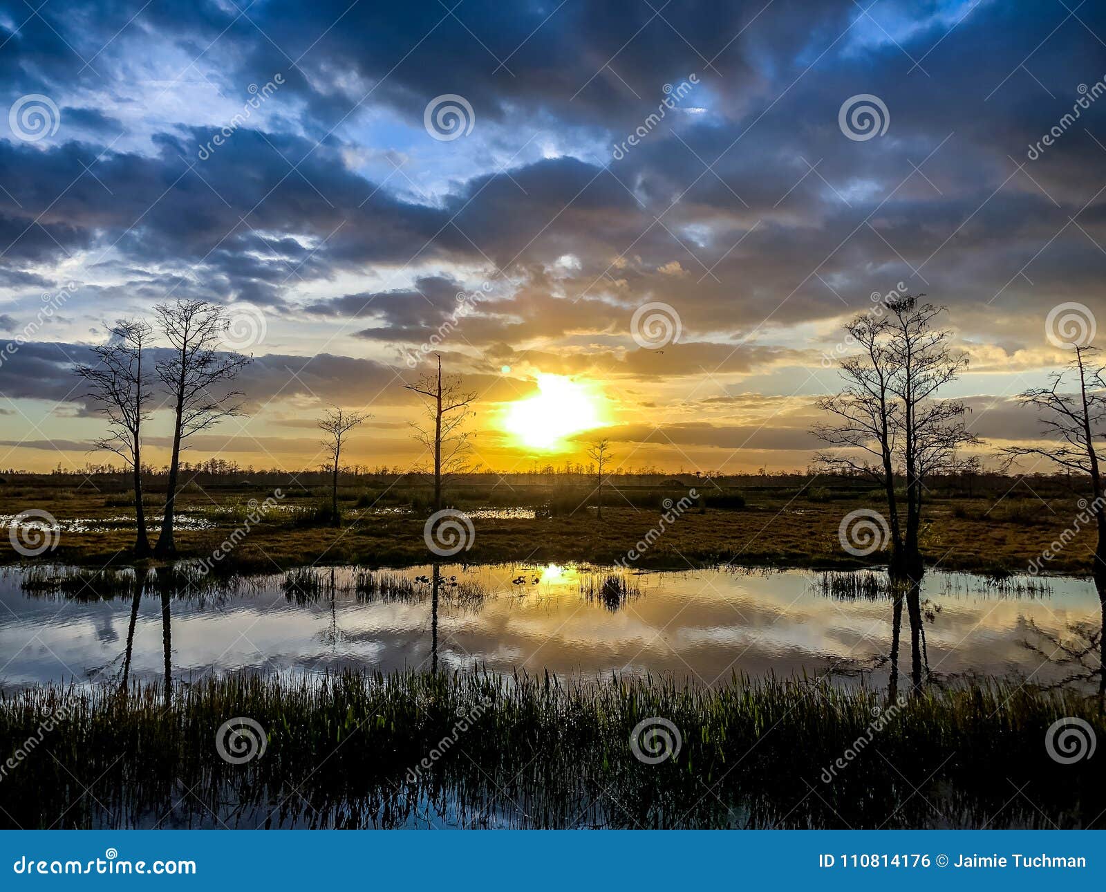 Sunset in the swamp stock photo. Image of pond, lake - 110814176