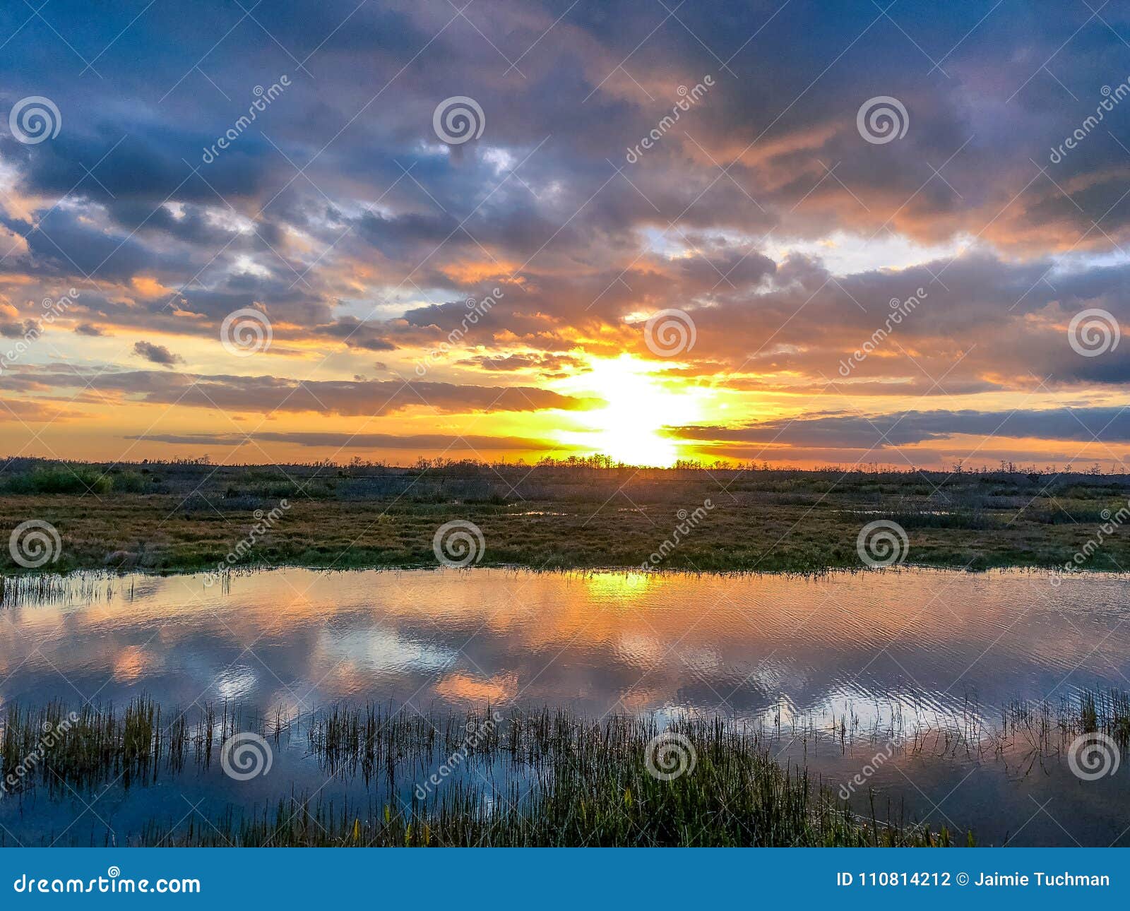 Sunset in the swamp stock photo. Image of light, lake - 110814212
