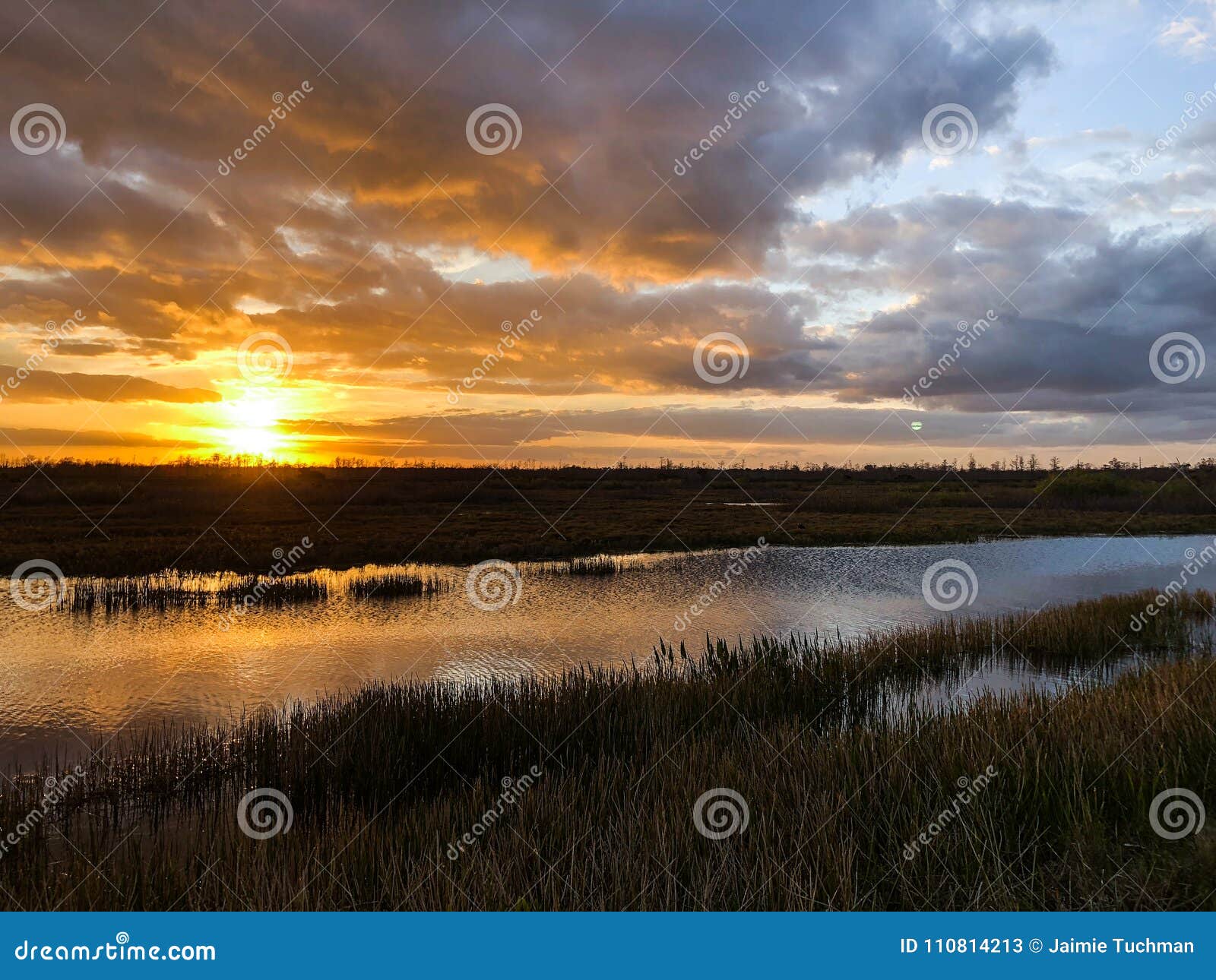 Sunset in the swamp stock image. Image of park, outdoors - 110814213