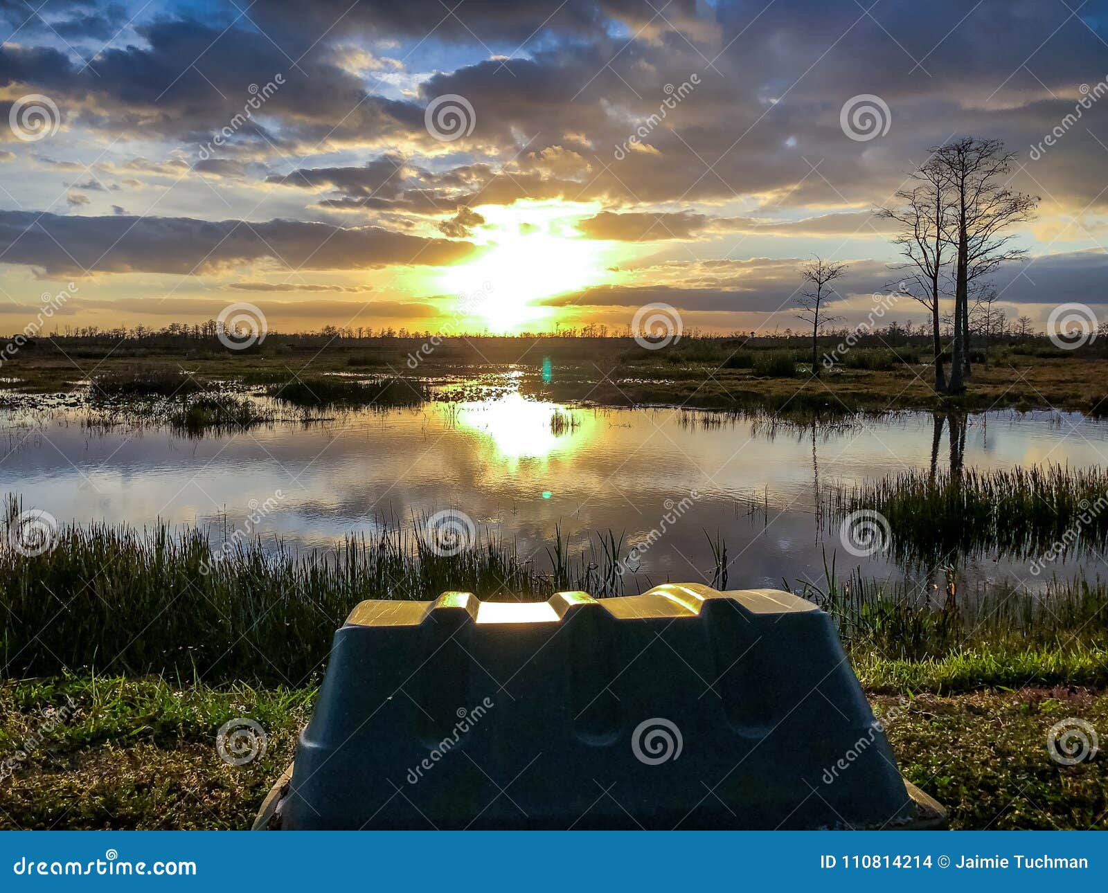 Sunset in the swamp stock photo. Image of bayou, nature - 110814214