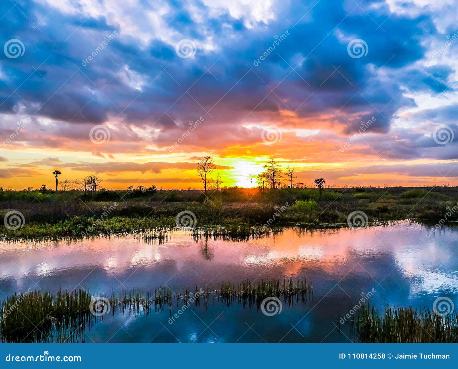 Sunset in the swamp stock photo. Image of bayou, cypress - 110814258