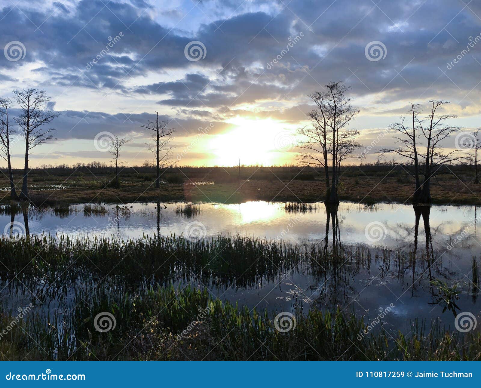 Sunset in the swamp stock image. Image of dusk, peaceful - 110817259