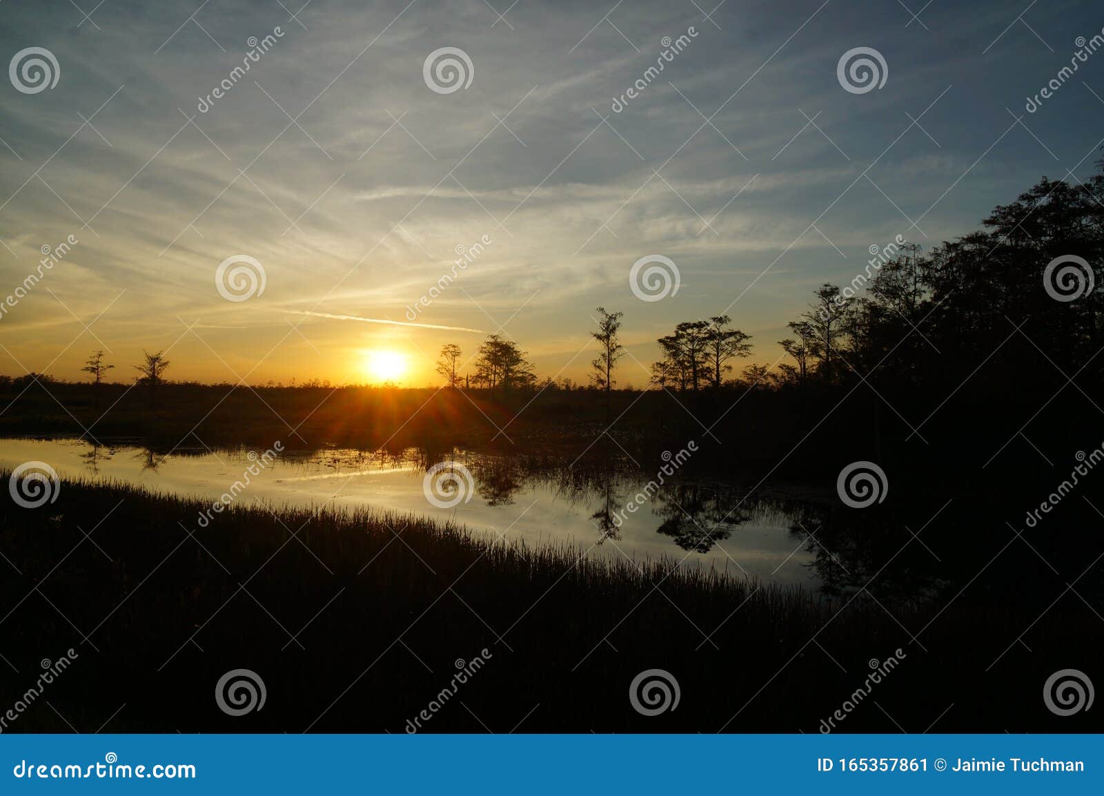 Sunset in the swamp stock image. Image of nature, outdoors - 165357861
