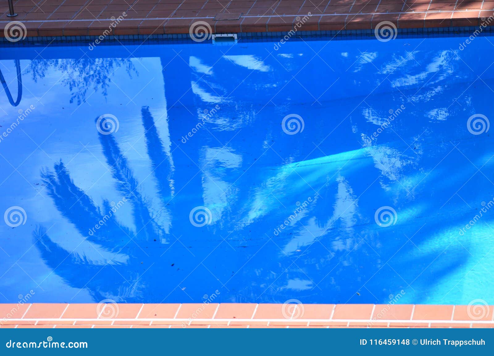 Reflections in a Swimming Pool Stock Photo - Image of swimming, mirror ...