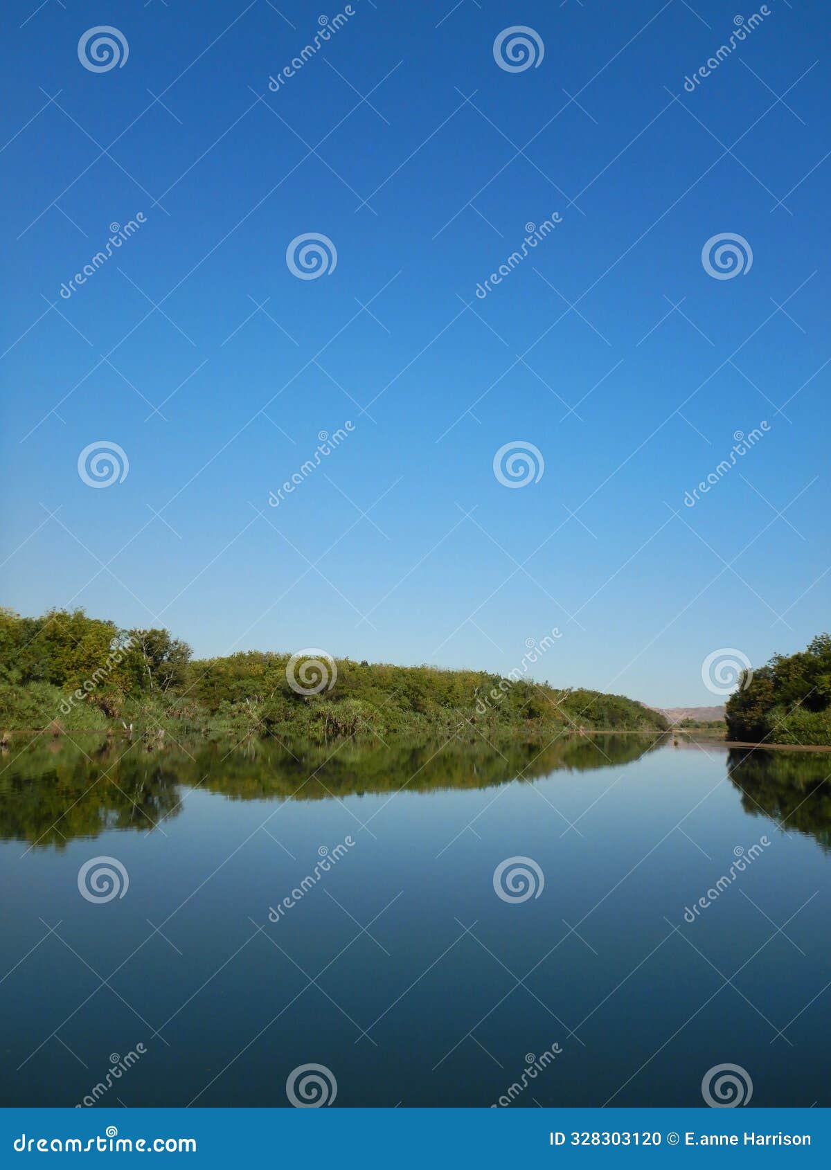 Reflections of a Tree-lined River Bank Stock Photo - Image of forest ...