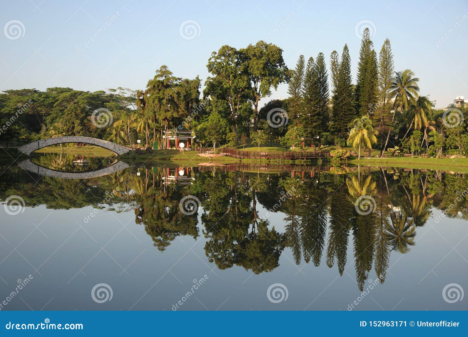 Reflections of Trees and a Bridge at a Park during Dawn Light Stock ...